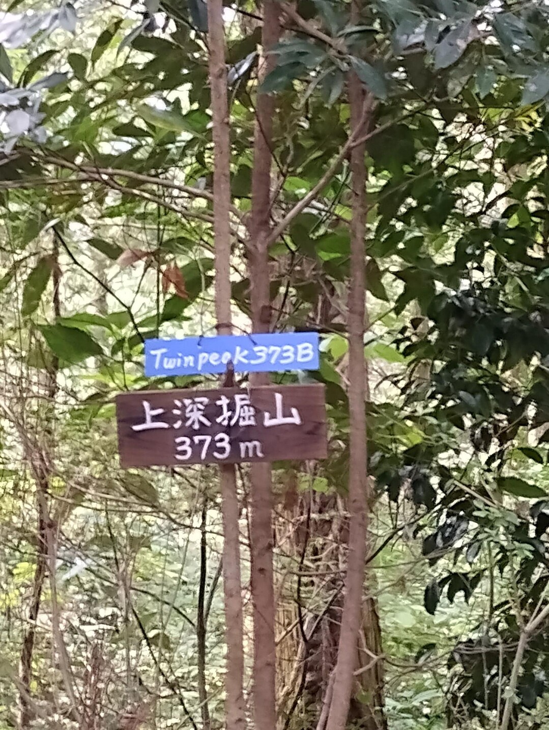 YAMAP 外ピーク・・上深堀山探訪 / やまGさんの九千部山・石谷山の活動データ | YAMAP / ヤマップ