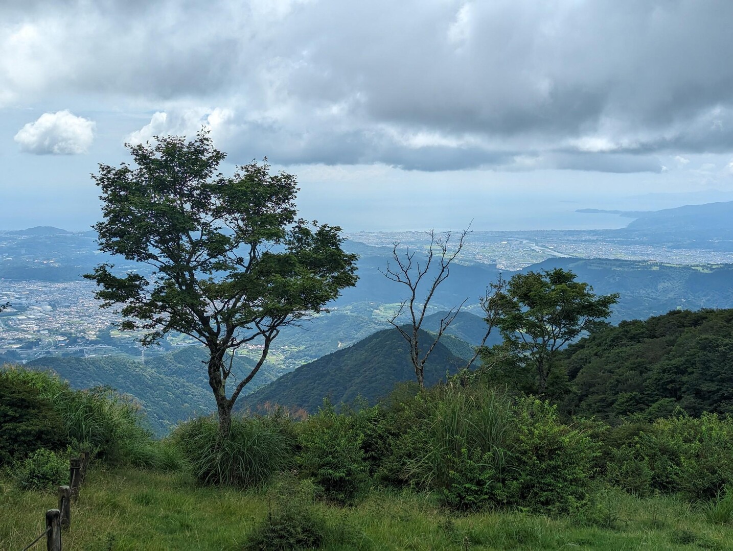 鍋割山2023夏 / NKBTKさんの塔ノ岳・丹沢山・蛭ヶ岳の活動データ | YAMAP / ヤマップ