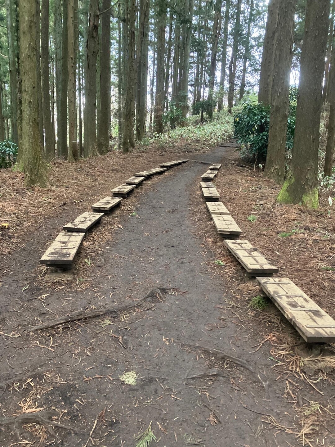 陣馬山・南郷山・富士小屋山・赤岩山・景信山・城山（小仏城山）・高尾山・神変山 / tykmktさんの高尾山・陣馬山・景信山の活動データ | YAMAP / ヤマップ