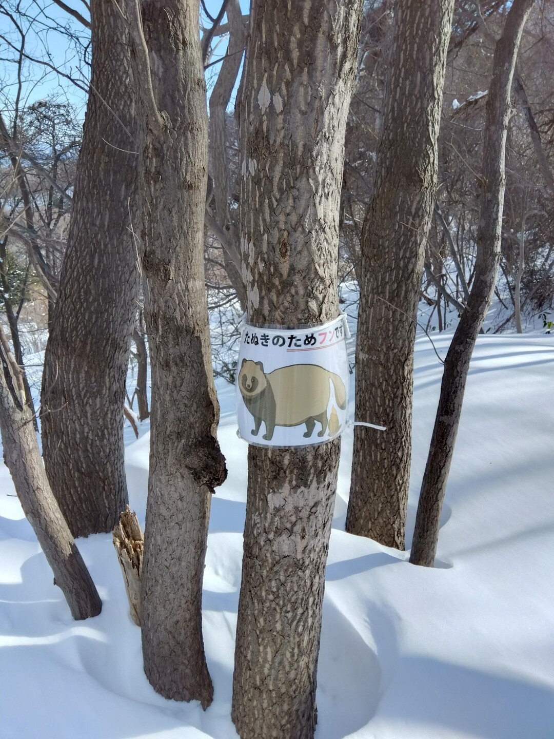 三角山・大倉山・奥三角山(よこして山)・赤坂山 / K-ta.wさんの三角山・大倉山・円山の活動データ | YAMAP / ヤマップ