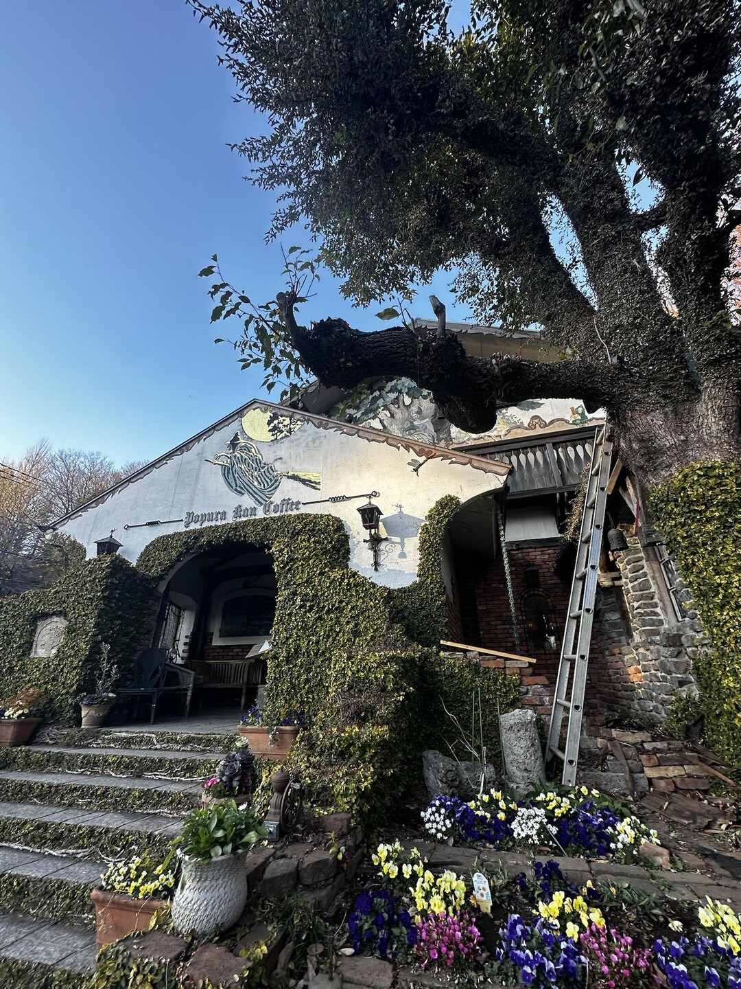 パペルブルグのオーナーさんにバッタリ会っ... / amiさんのモーメント | YAMAP / ヤマップ