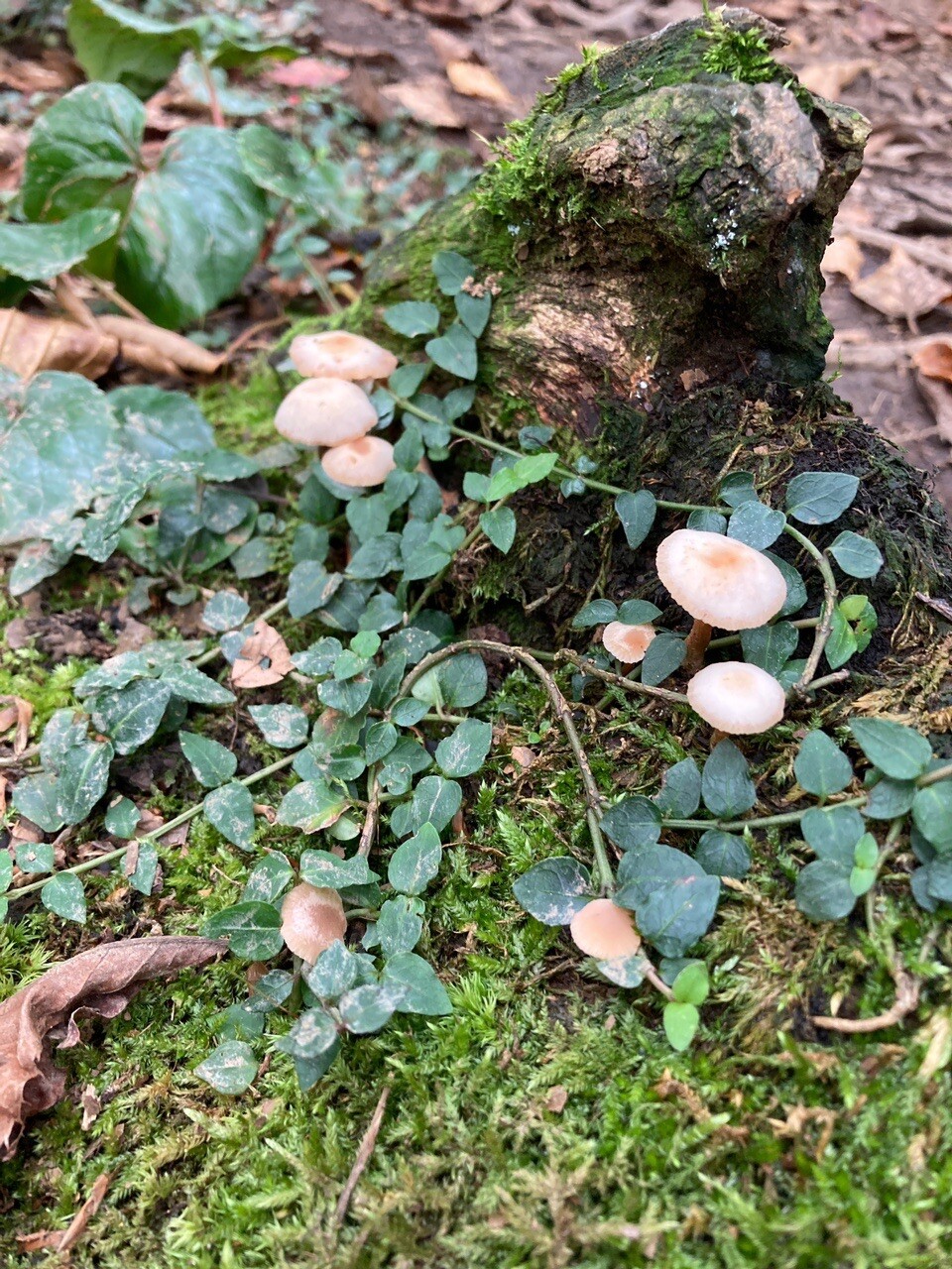 2021.09.28(火) 11:22 / れいさんのモーメント | YAMAP / ヤマップ