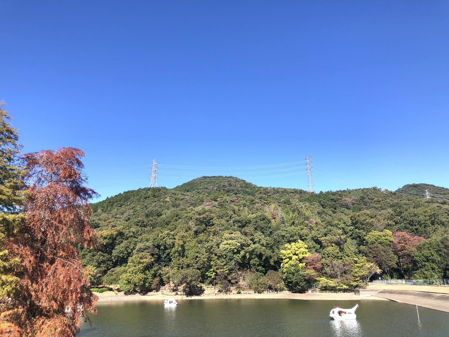 弥勒山 / rey_seroさんの春日井三山・弥勒山・大谷山・道樹山の活動データ | YAMAP / ヤマップ