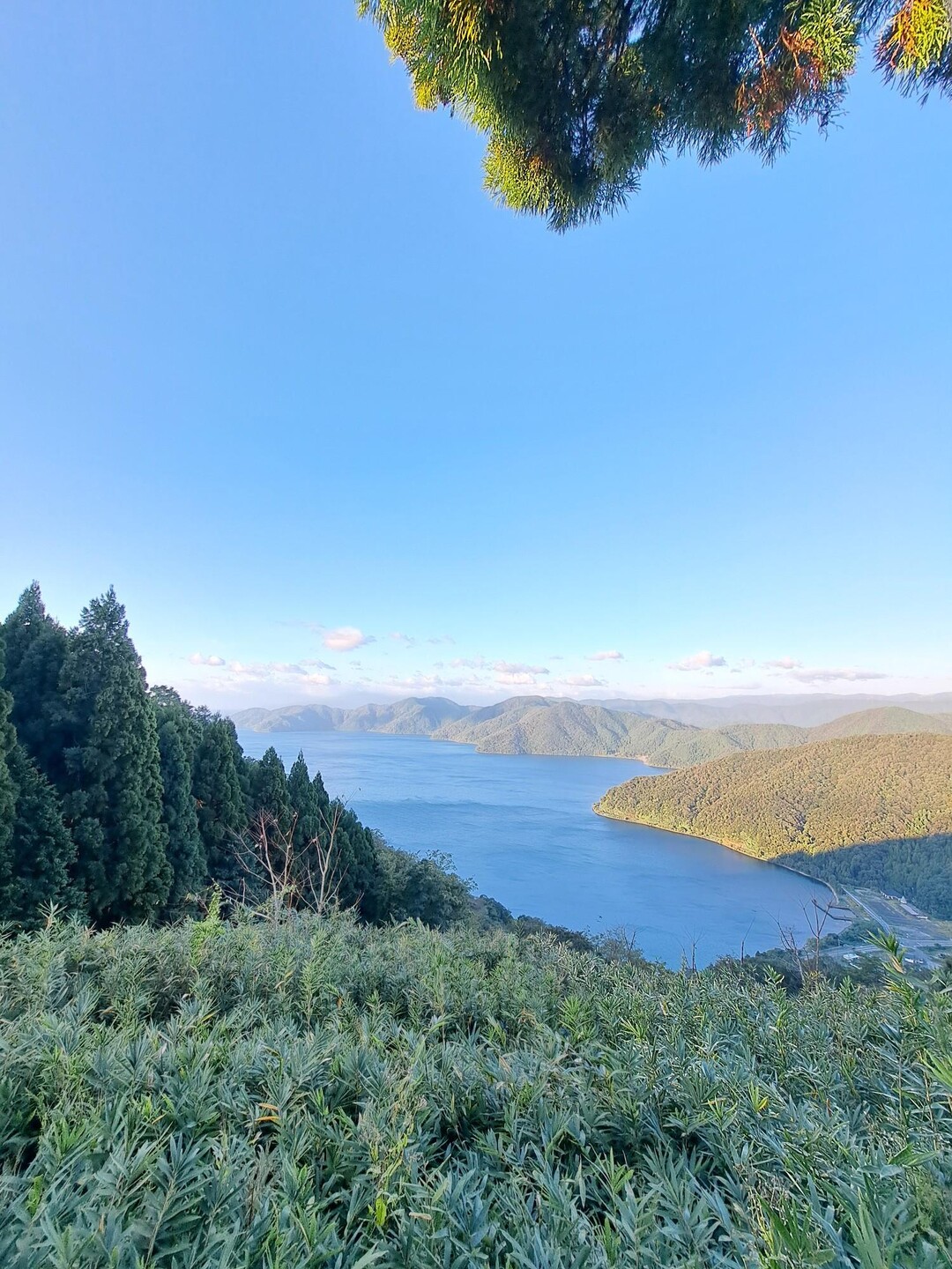 賤ケ岳・山本山 / Daisuke＠7/14 OSJ ONTAKE100kmさんの賤ヶ岳・山本山の活動データ | YAMAP / ヤマップ