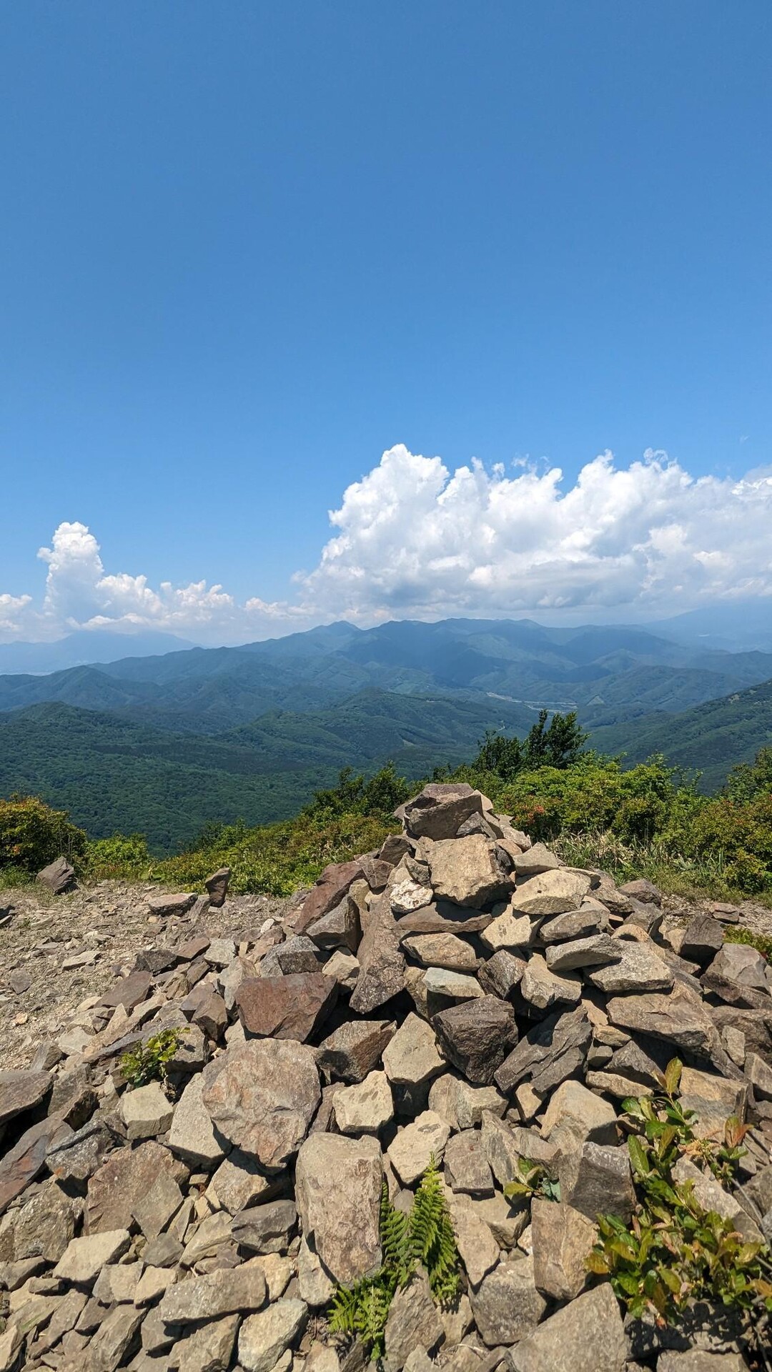 大将旗山・額取山 / m93さんの額取山（安積山）の活動データ | YAMAP / ヤマップ