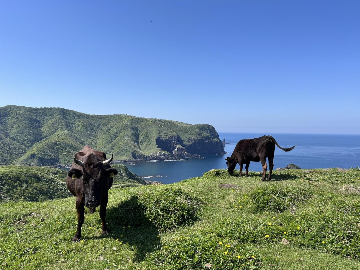 焼火山（西ノ島）（しま山100選） / DAIさんの隠岐諸島・島前の活動データ | YAMAP / ヤマップ