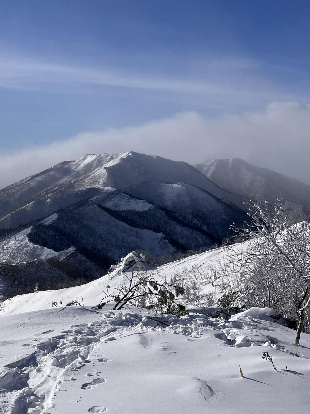三国山 / zect (ゼクト)さんの三国山の活動データ | YAMAP / ヤマップ