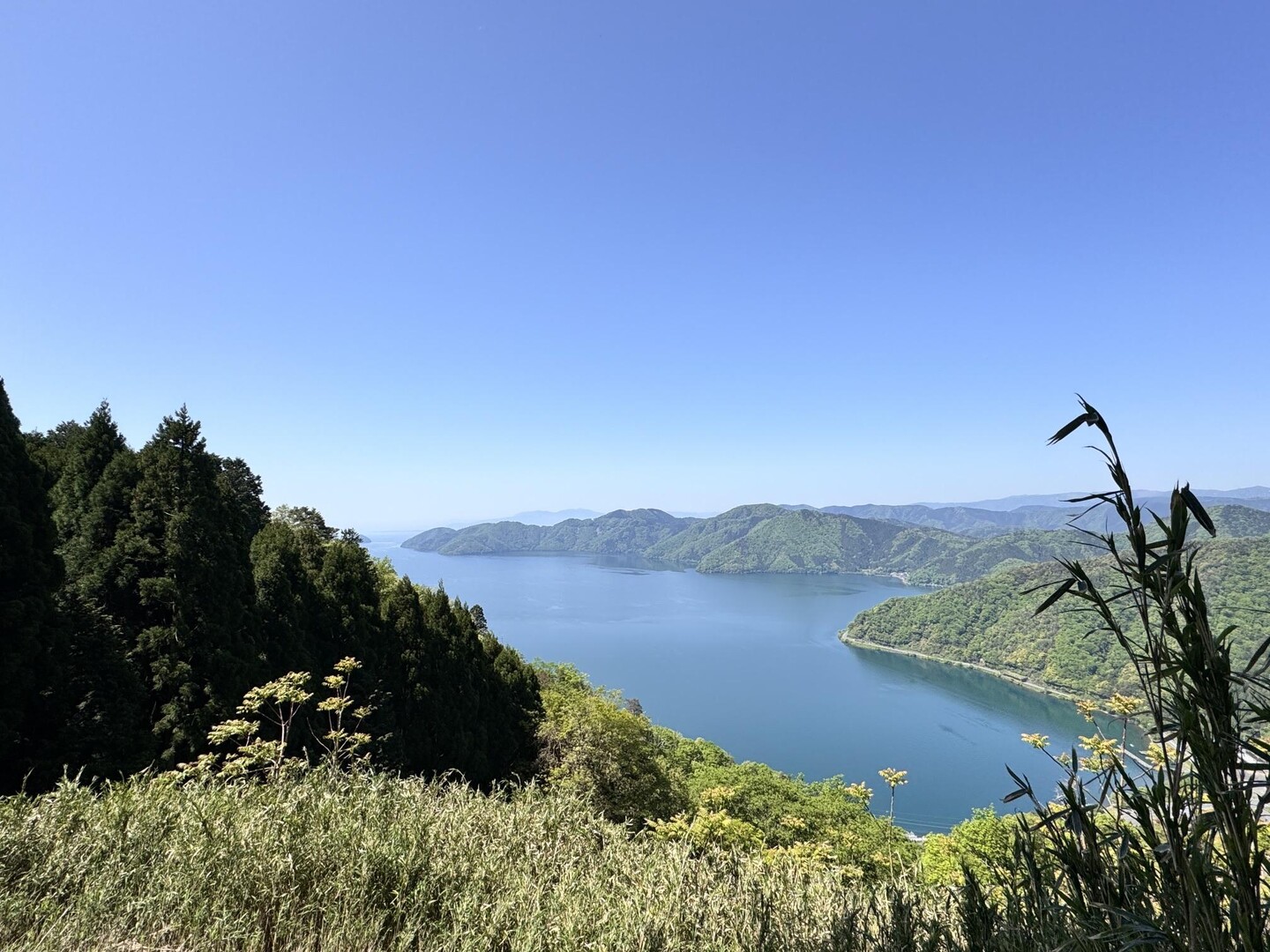 賤ヶ岳 / necoさんの賤ヶ岳・山本山の活動データ | YAMAP / ヤマップ