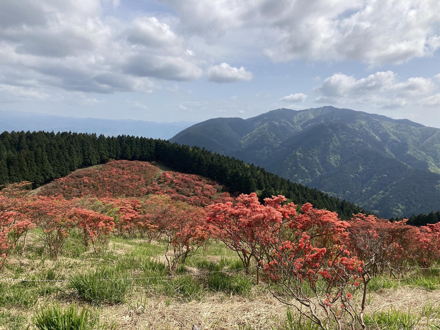 大和葛城山 / penta360さんの金剛山・二上山・大和葛城山の活動データ | YAMAP / ヤマップ