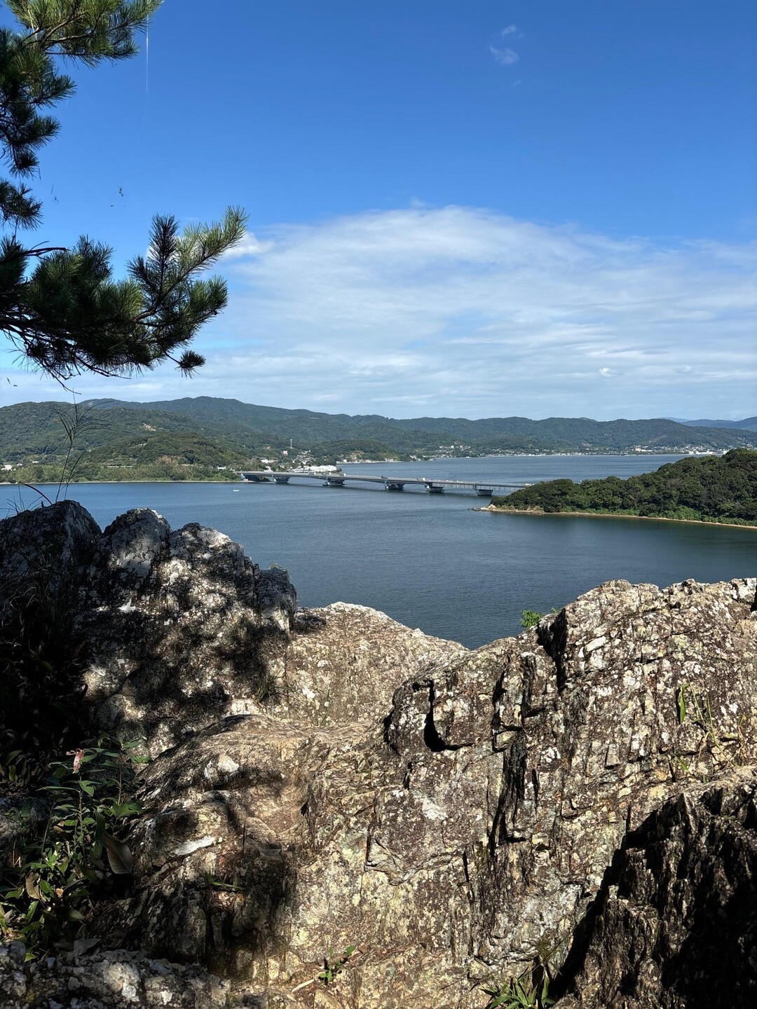 舘山 / jinisanさんの大草山・舘山の活動データ | YAMAP / ヤマップ