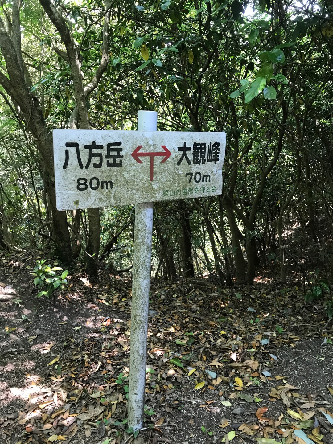 Shimaさんの投稿したフィールドメモ | YAMAP / ヤマップ