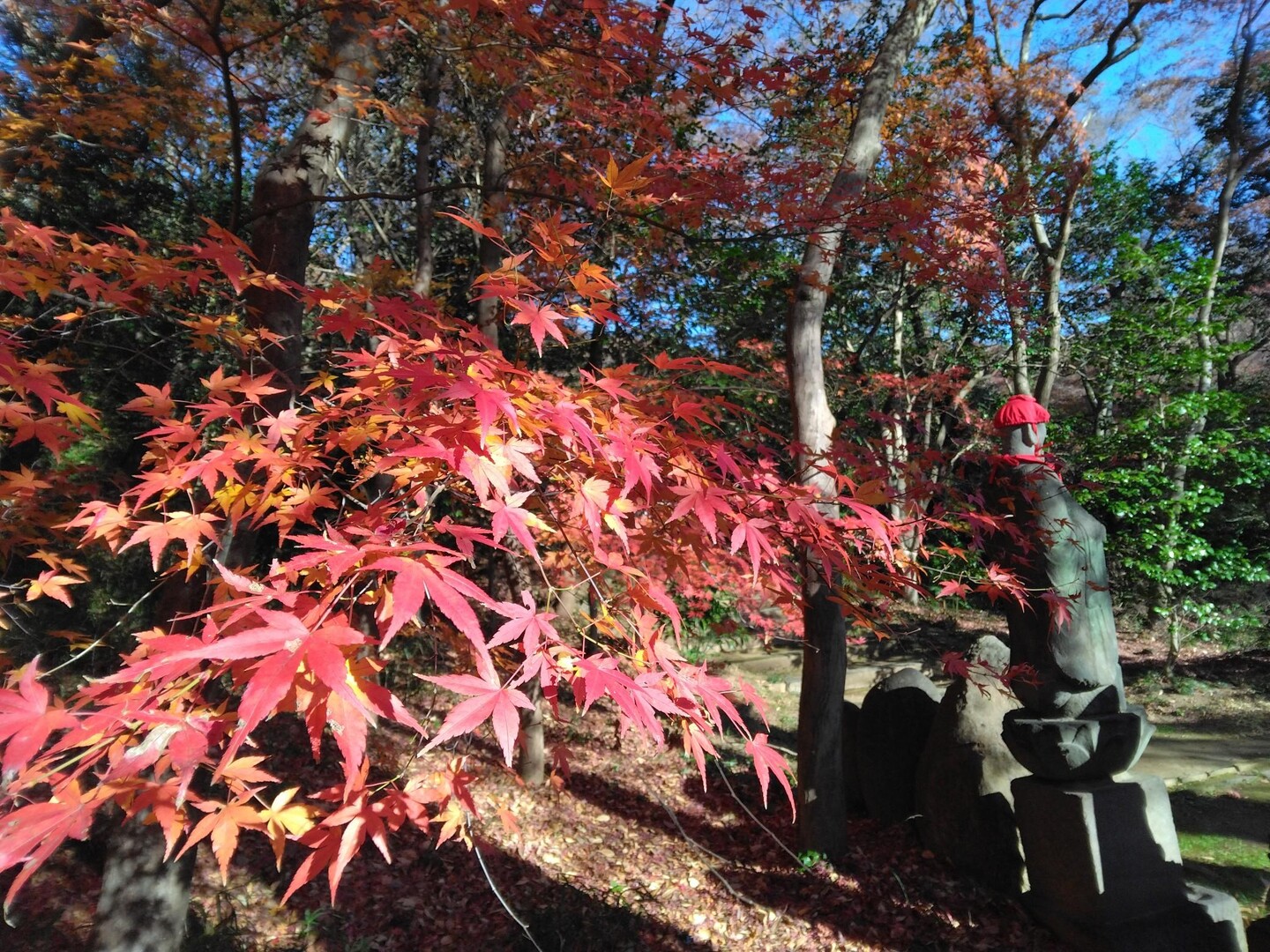 金山城跡#78 / あき250(あき2号)さんの金山（新田金山）・八王子丘陵の活動データ | YAMAP / ヤマップ