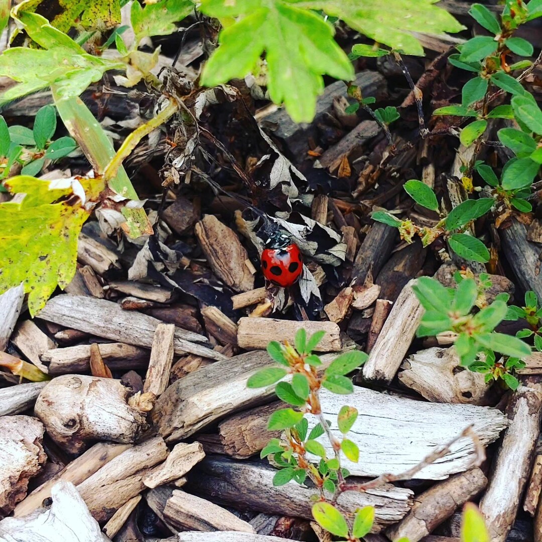 KKのページ | YAMAP / ヤマップ