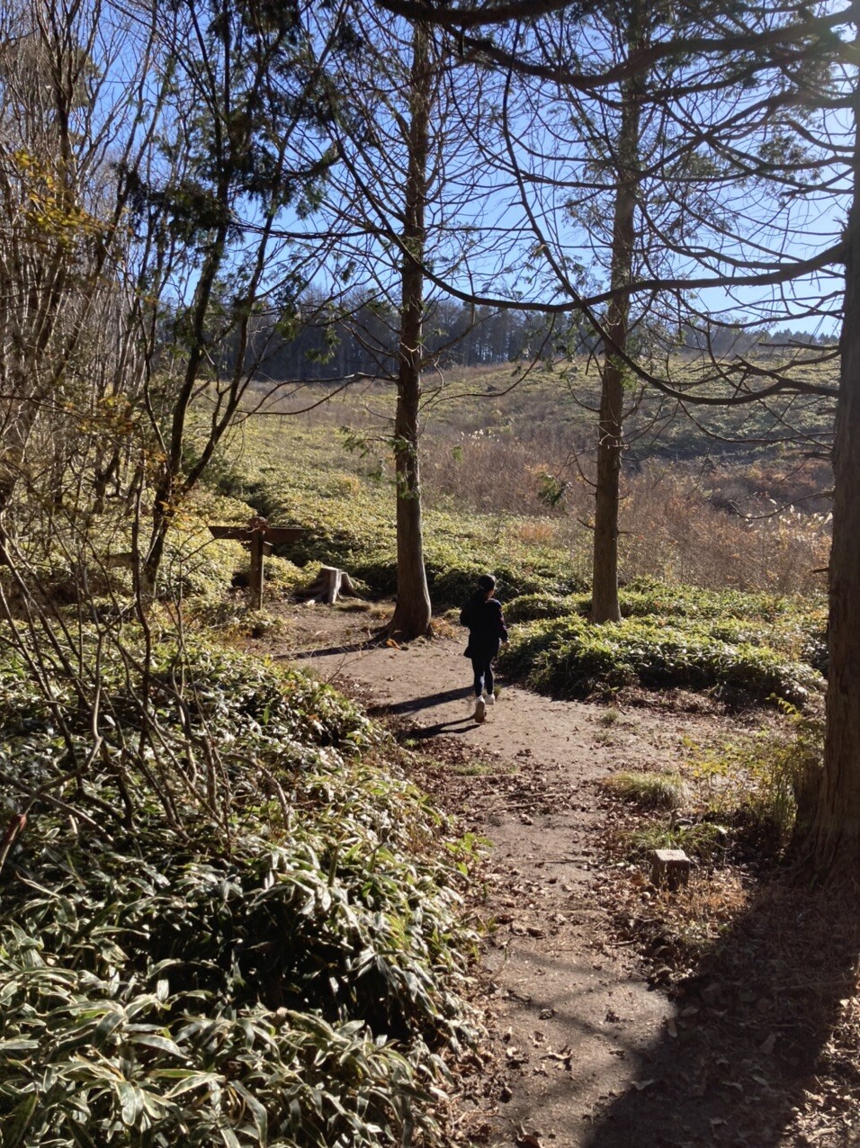 Ypaaのページ | YAMAP / ヤマップ