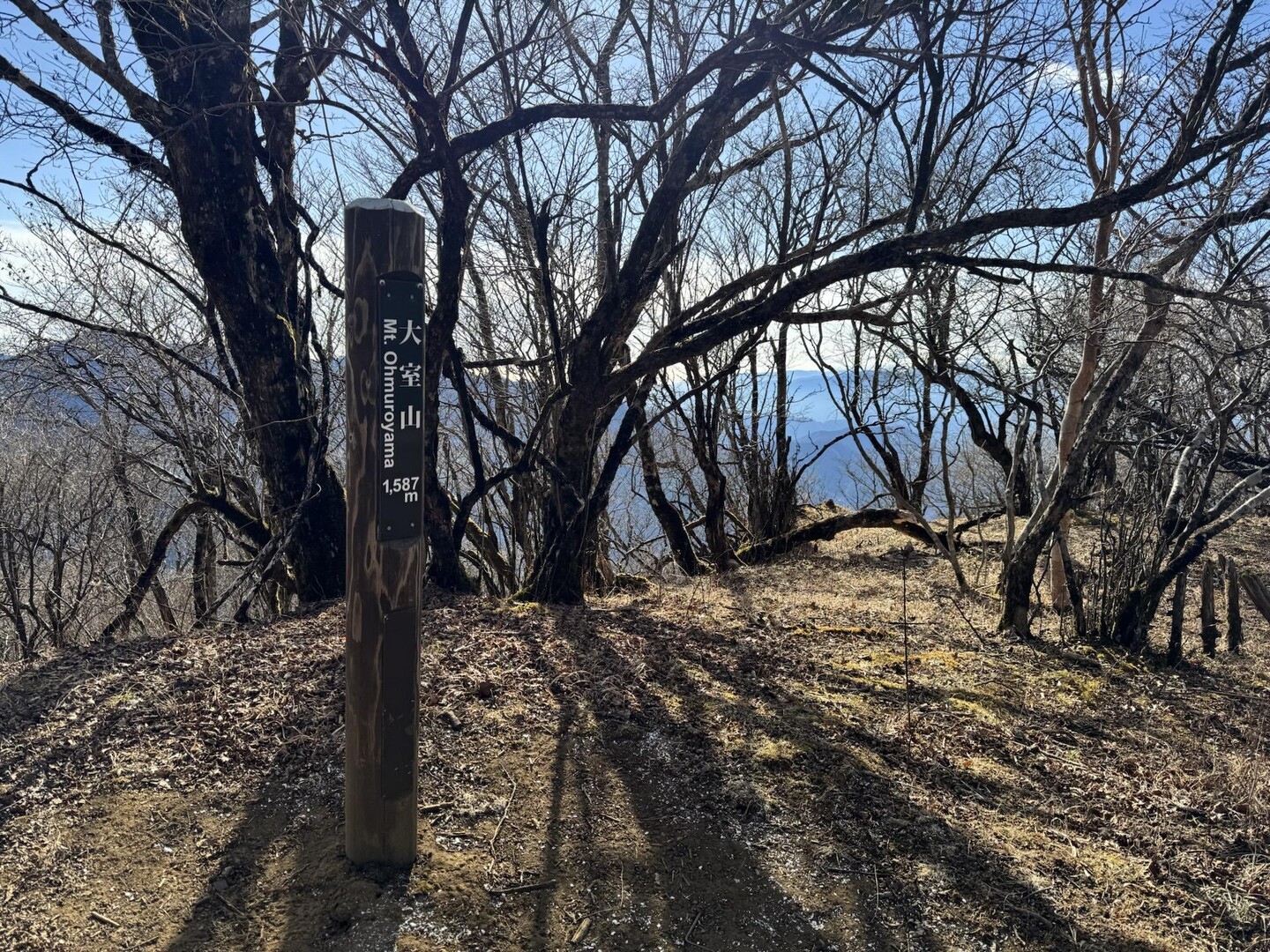 リベンジ大室山で丹沢ハイカー / 🐰Lininha(Lina)🐢🐇さんの大室山・畦ヶ丸山・菰釣山の活動データ | YAMAP / ヤマップ