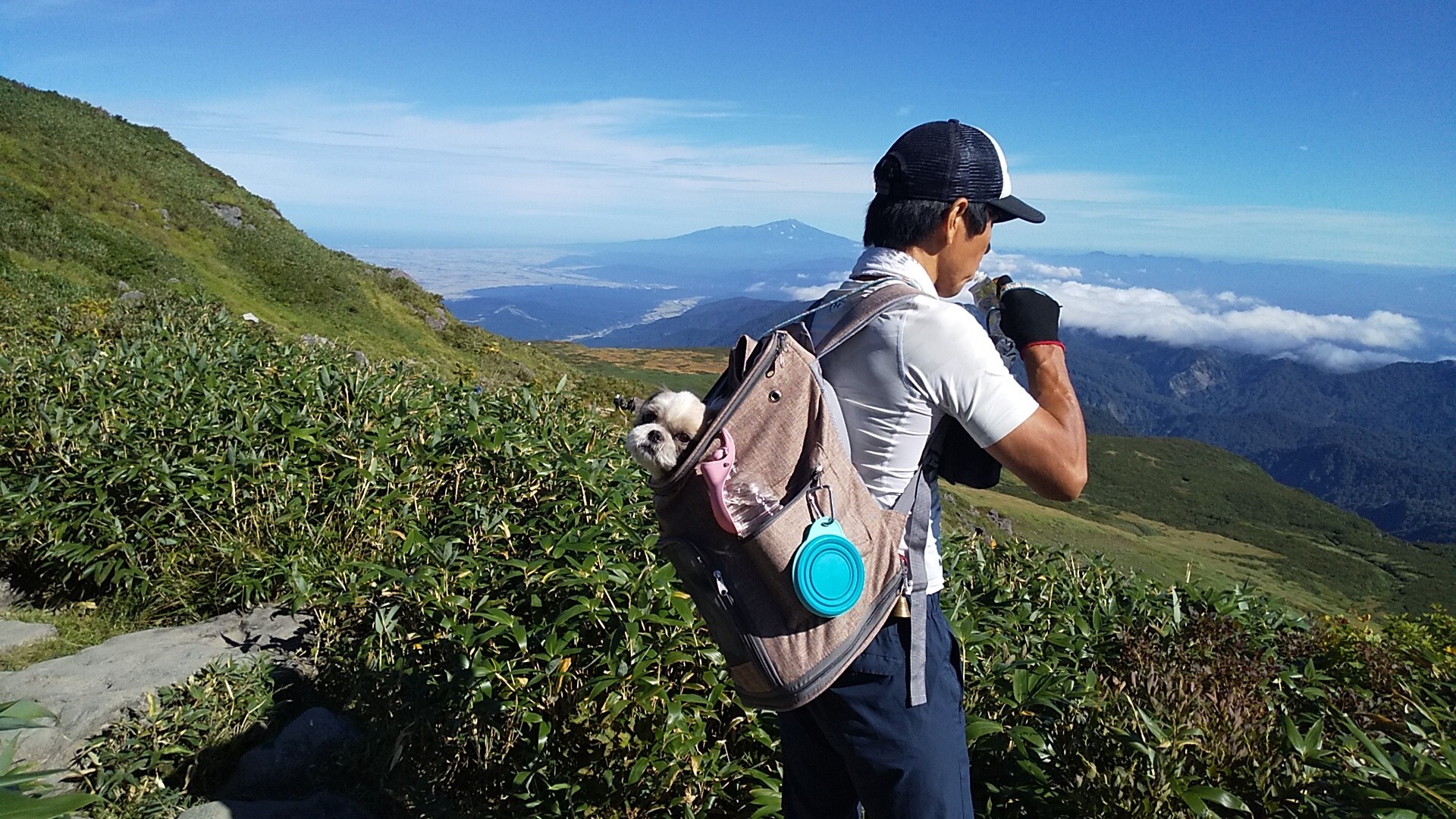 月山⭐️晴天の4+ワン山行🐶 / minoさんの月山の活動データ | YAMAP / ヤマップ