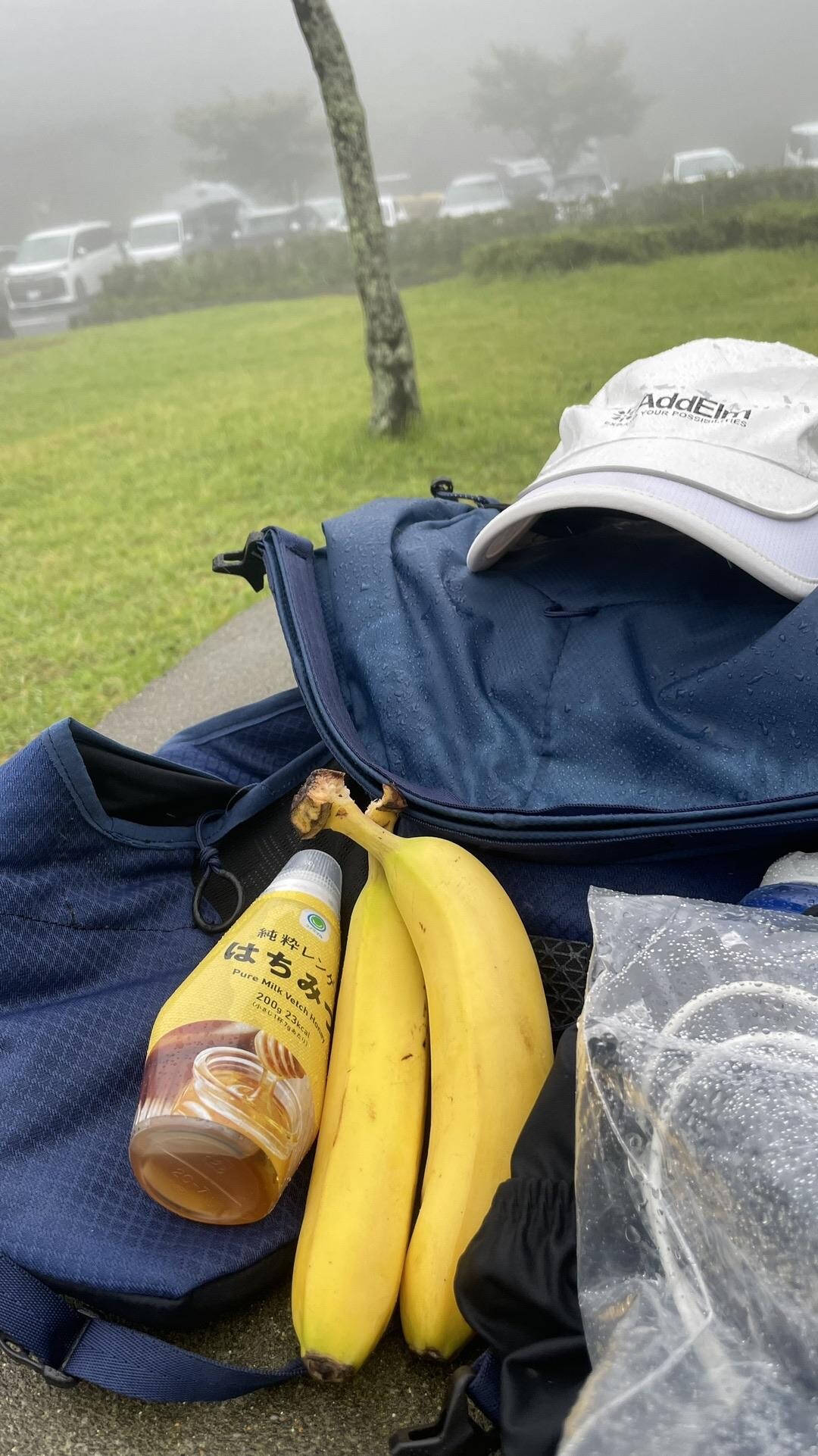 霧島連山 50km縦走トレイル / けんさんの霧島山・韓国岳・高千穂峰・夷守岳・烏帽子岳の活動データ | YAMAP / ヤマップ