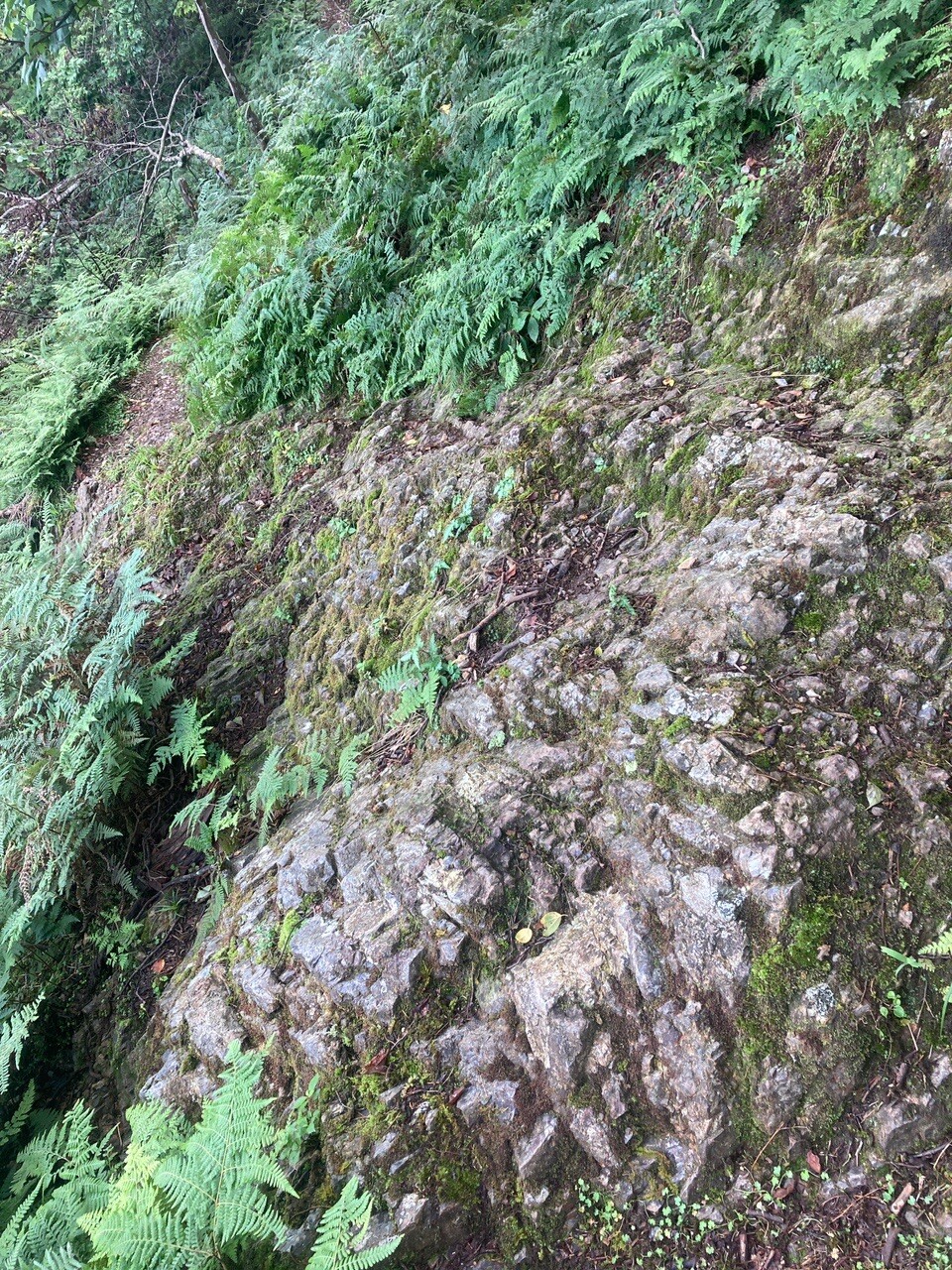 MJさんの投稿したフィールドメモ | YAMAP / ヤマップ