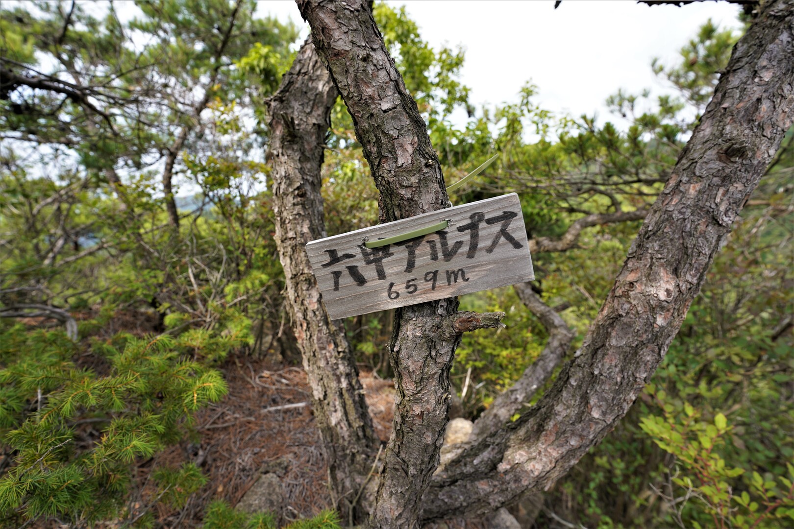 mats(まっつ)さんの投稿したフィールドメモ | YAMAP / ヤマップ