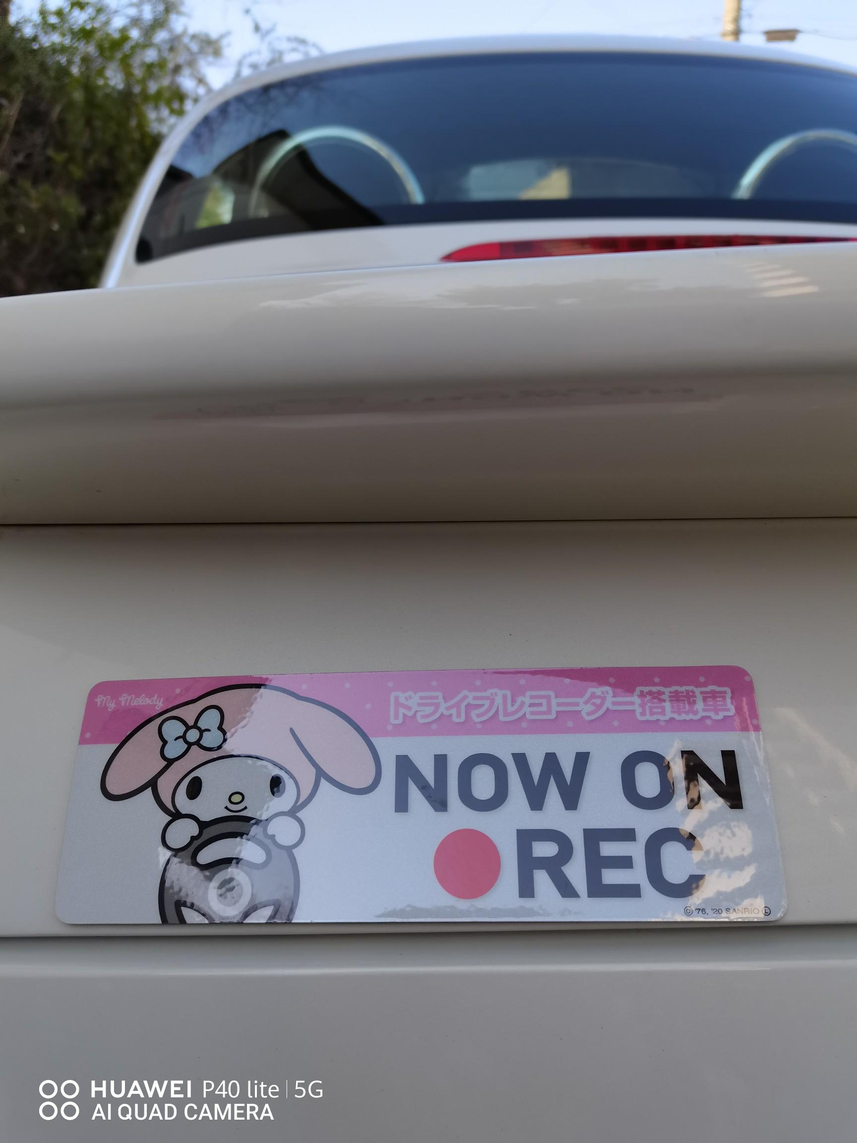 この世に輩は居るか否か?答えはyes,問... / 🍊ヤミーさんのモーメント | YAMAP / ヤマップ