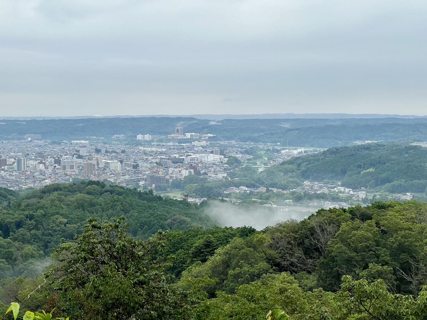 奥武蔵トレイル35Kコース武蔵横手まで / モッティさんの登山の活動データ | YAMAP / ヤマップ
