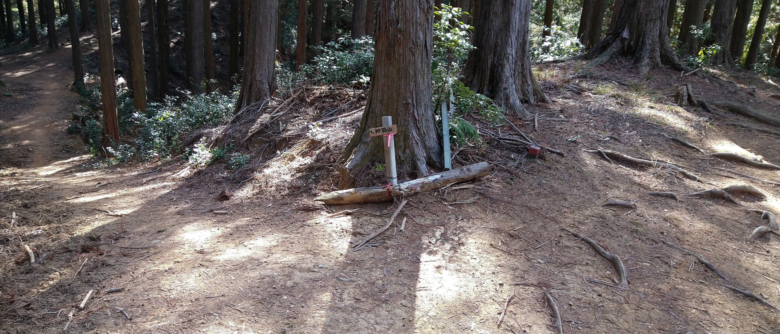 KKさんの投稿したフィールドメモ | YAMAP / ヤマップ