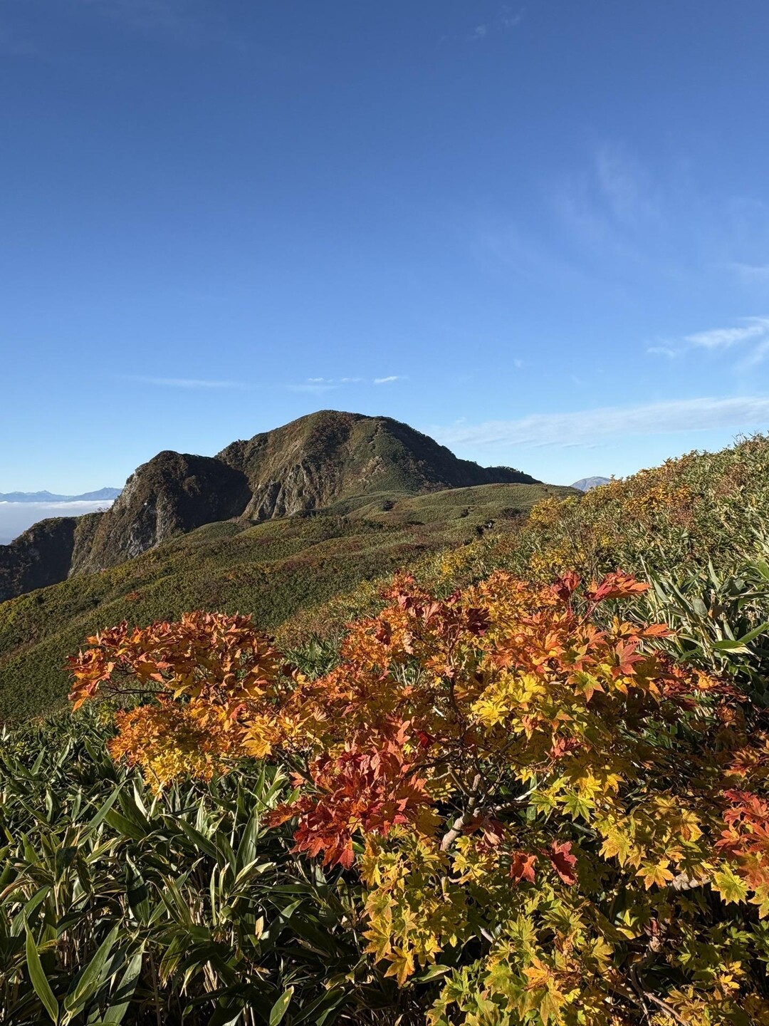 雨飾山 / aspiさんの雨飾山・大渚山・天狗原山・戸倉山の活動データ | YAMAP / ヤマップ