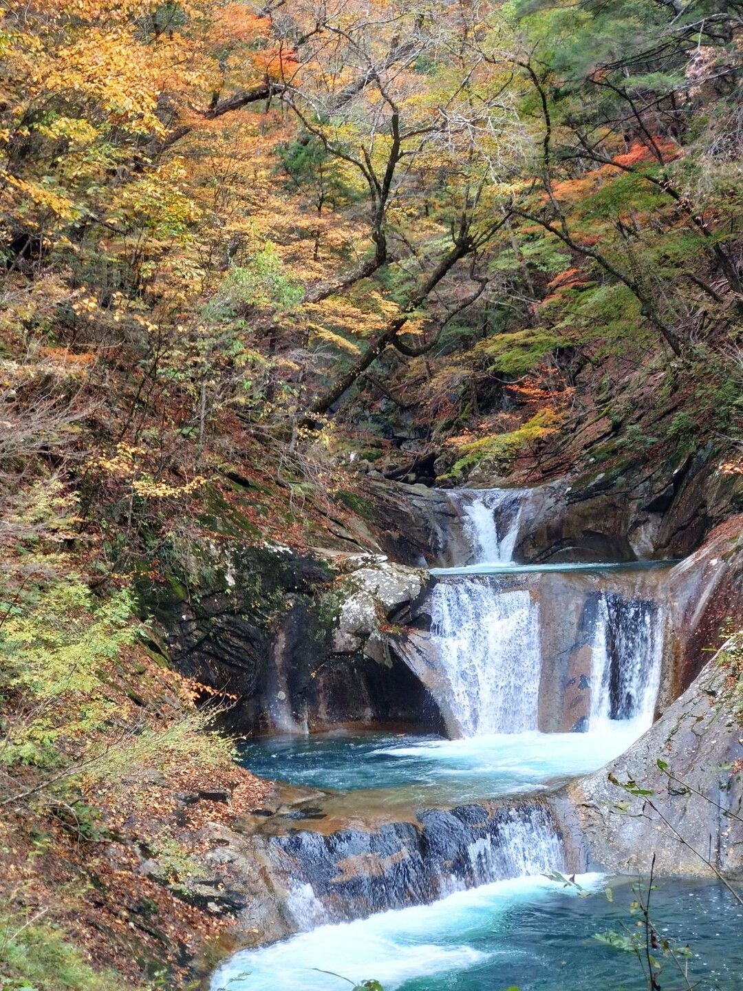 黄葉の西沢渓谷2024-11-01 / emiさんの乾徳山・黒金山の活動データ | YAMAP / ヤマップ