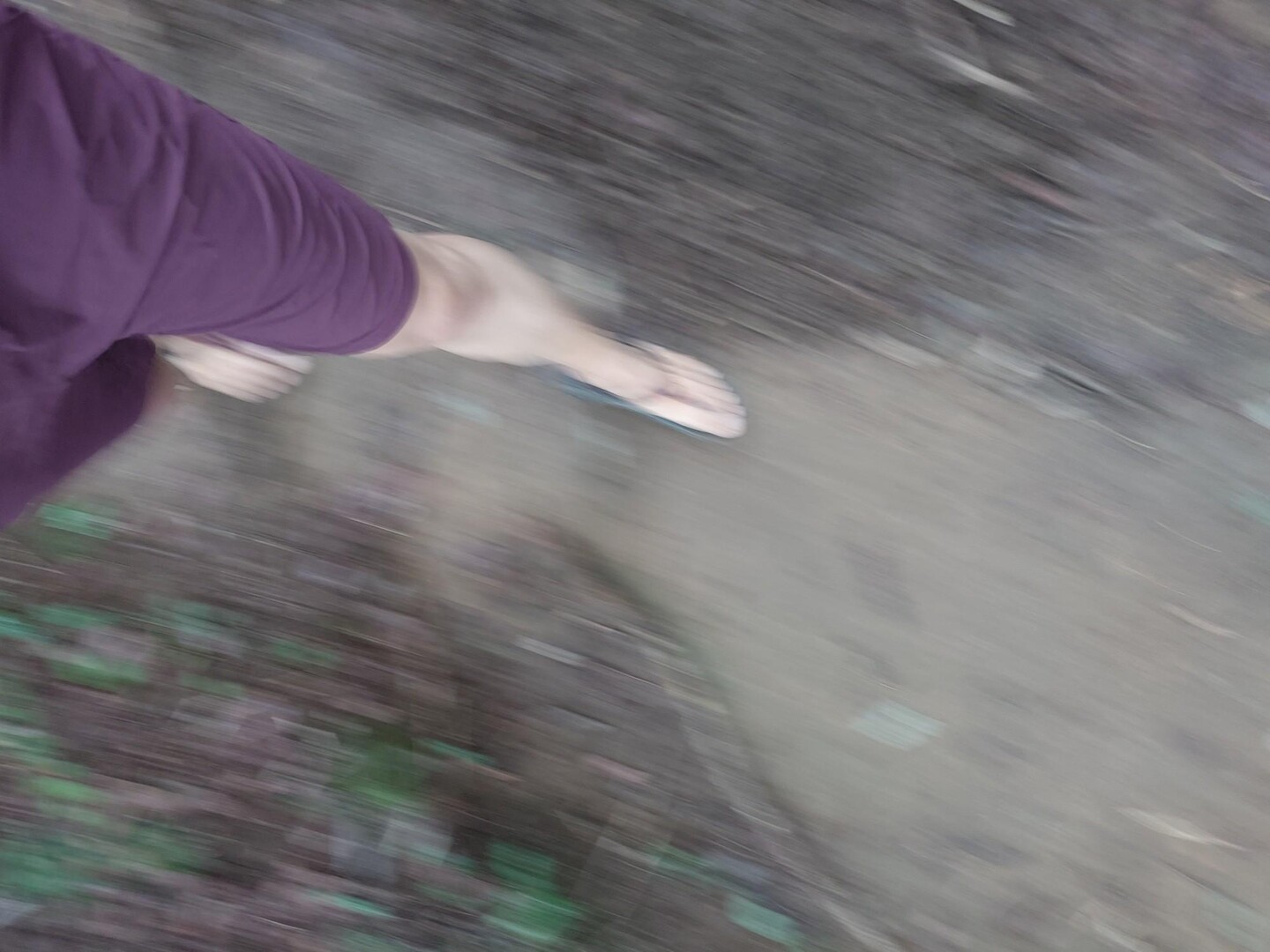 2日連続雨降りアヅマ / ta2さんの鳴神山・吾妻山の活動データ | YAMAP / ヤマップ