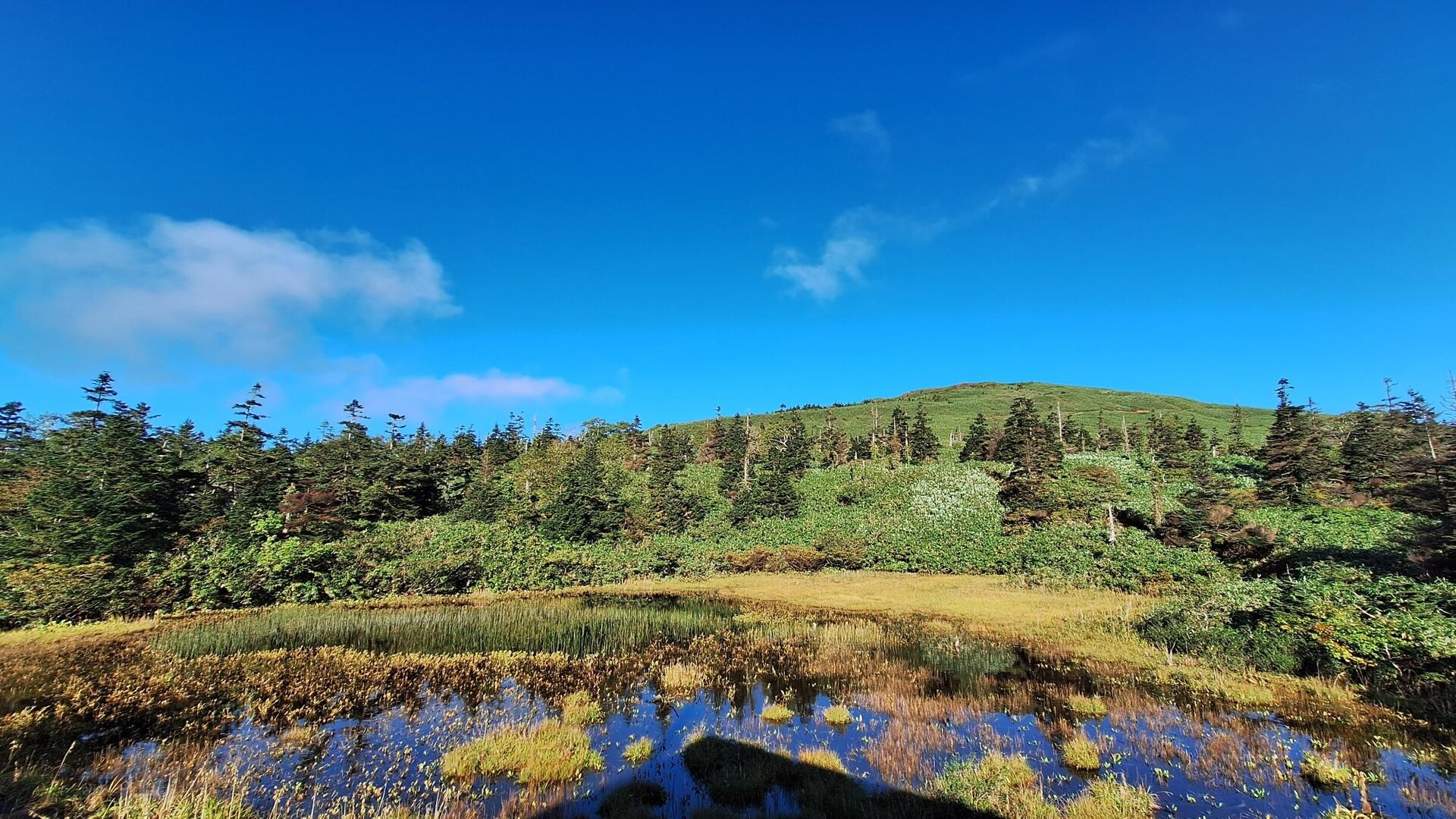 R06.09.24🍁三ッ石山～小畚山 / たけちゃんさんの三ッ石山・大深岳・諸桧岳の活動データ | YAMAP / ヤマップ