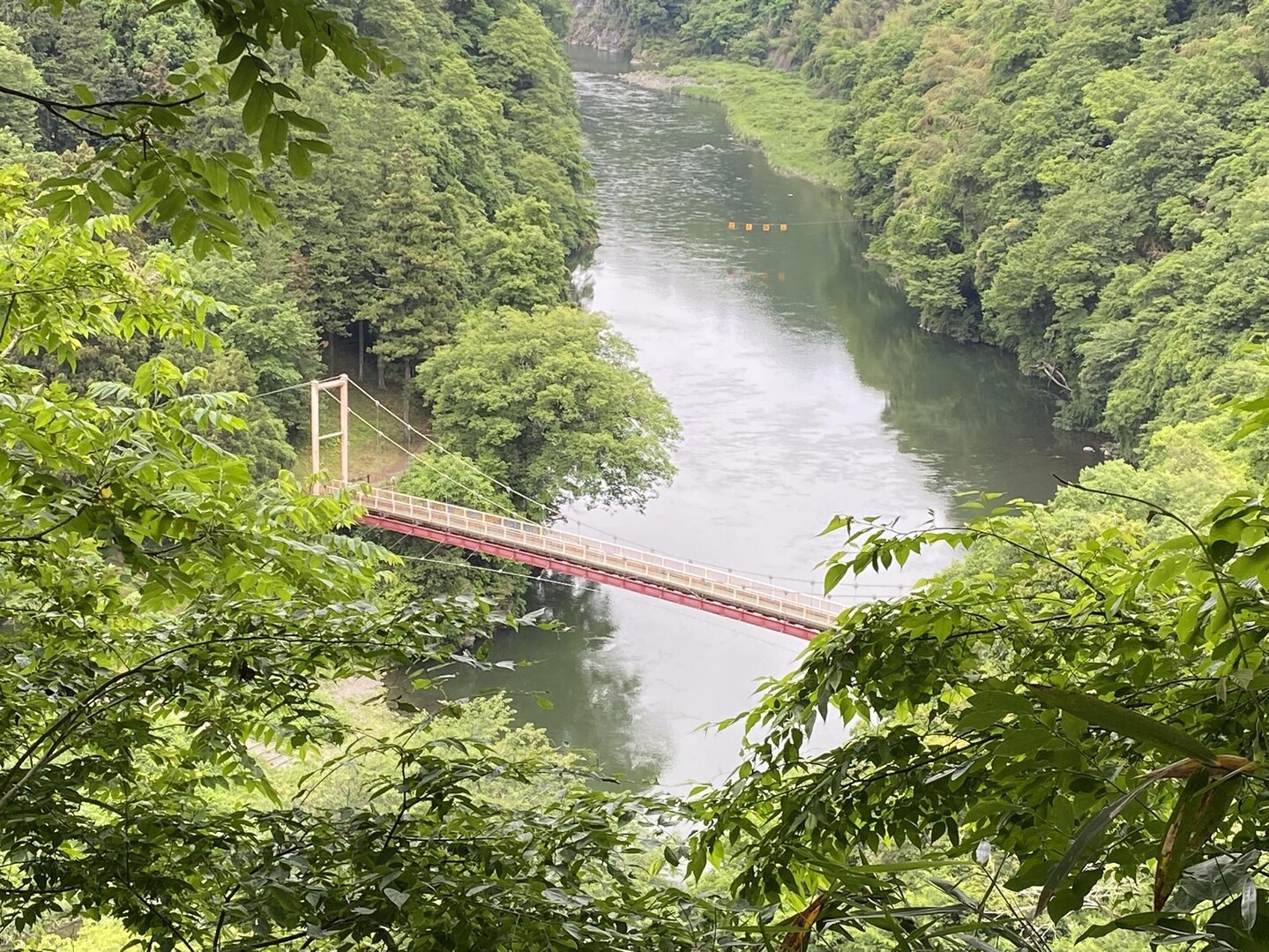 稲荷山・高尾山・城山（小仏城山）・峰尾山 / JOEさんの高尾山・陣馬山・景信山の活動データ | YAMAP / ヤマップ