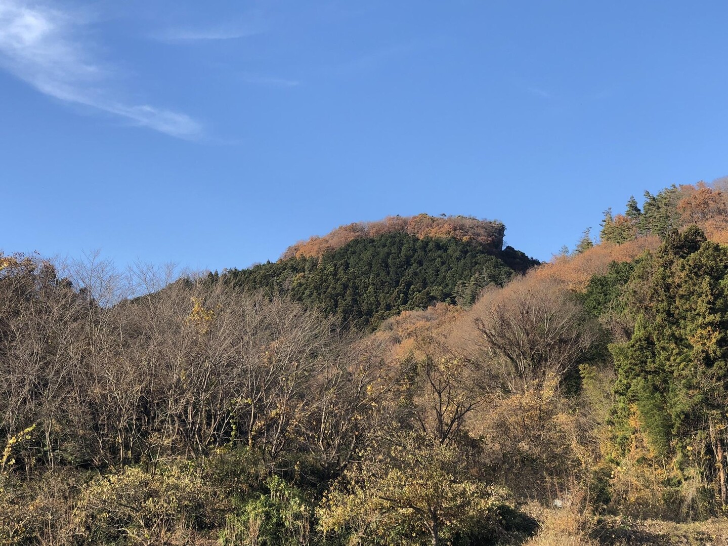 破風山450m / necomaru Xさんの大桁山・鍬柄岳・御堂山の活動データ | YAMAP / ヤマップ