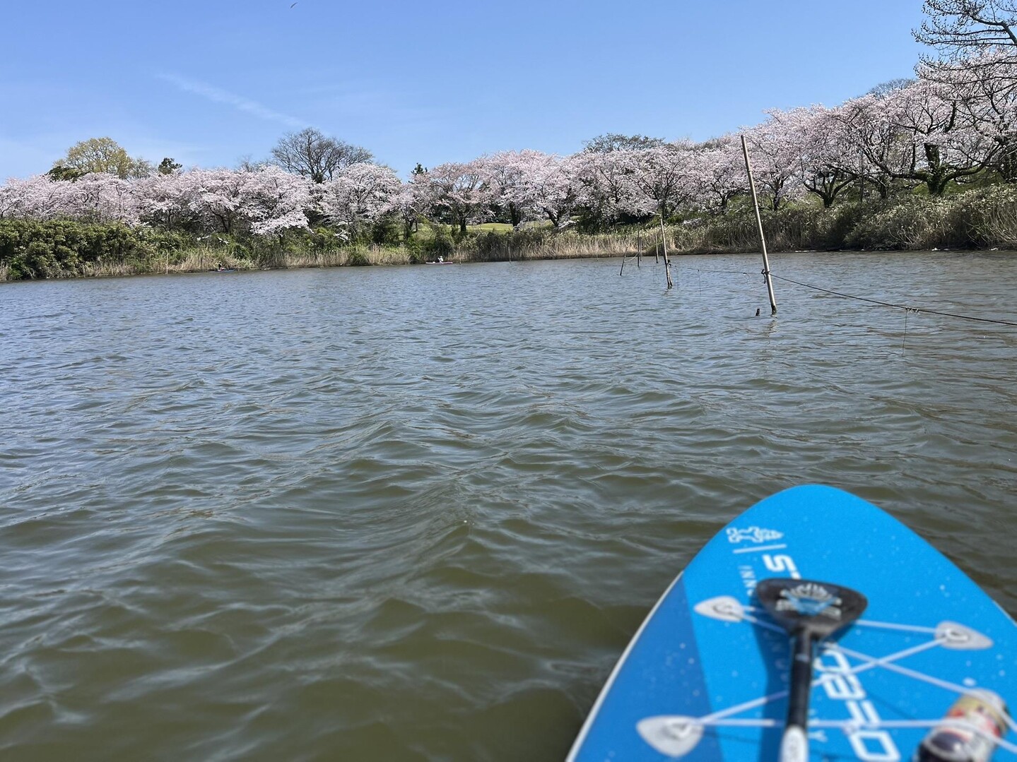 SUP 2024 今年ようやくシーズンイ... / omigusさんのモーメント | YAMAP / ヤマップ
