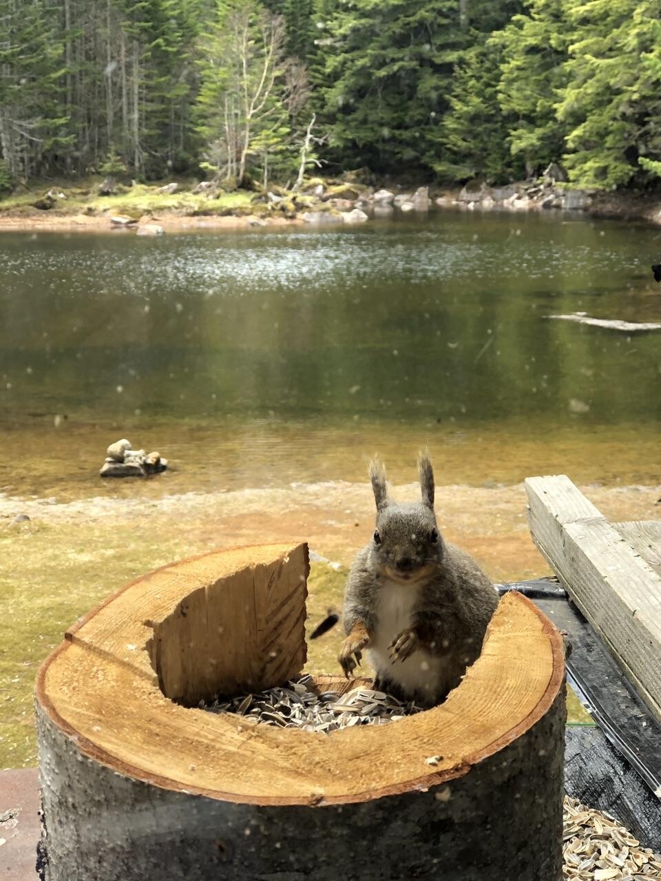 cyのページ | YAMAP / ヤマップ