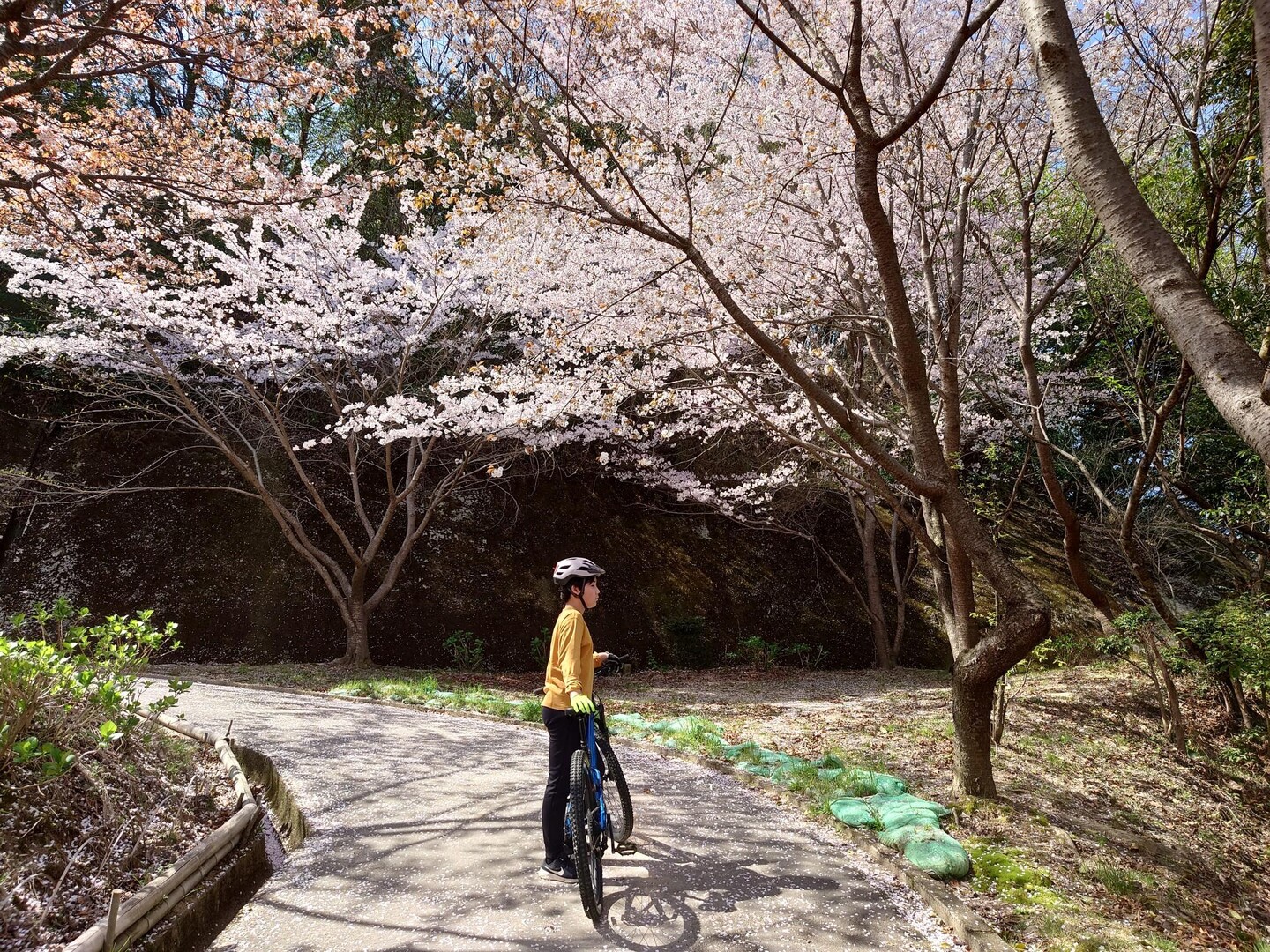 MTB Riding@裏山 / ひでたかさんの広島南アルプス（武田山・三滝山・鈴ヶ峰）の活動データ | YAMAP / ヤマップ