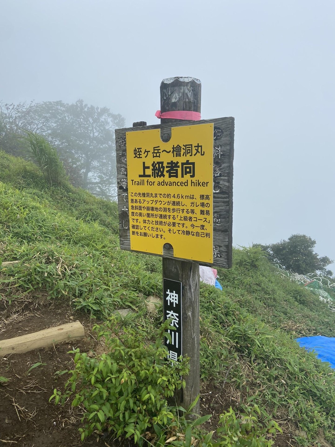 西丹沢VC〜丹沢主稜〜大倉バス停 / くにさんの塔ノ岳・丹沢山・蛭ヶ岳の活動データ | YAMAP / ヤマップ