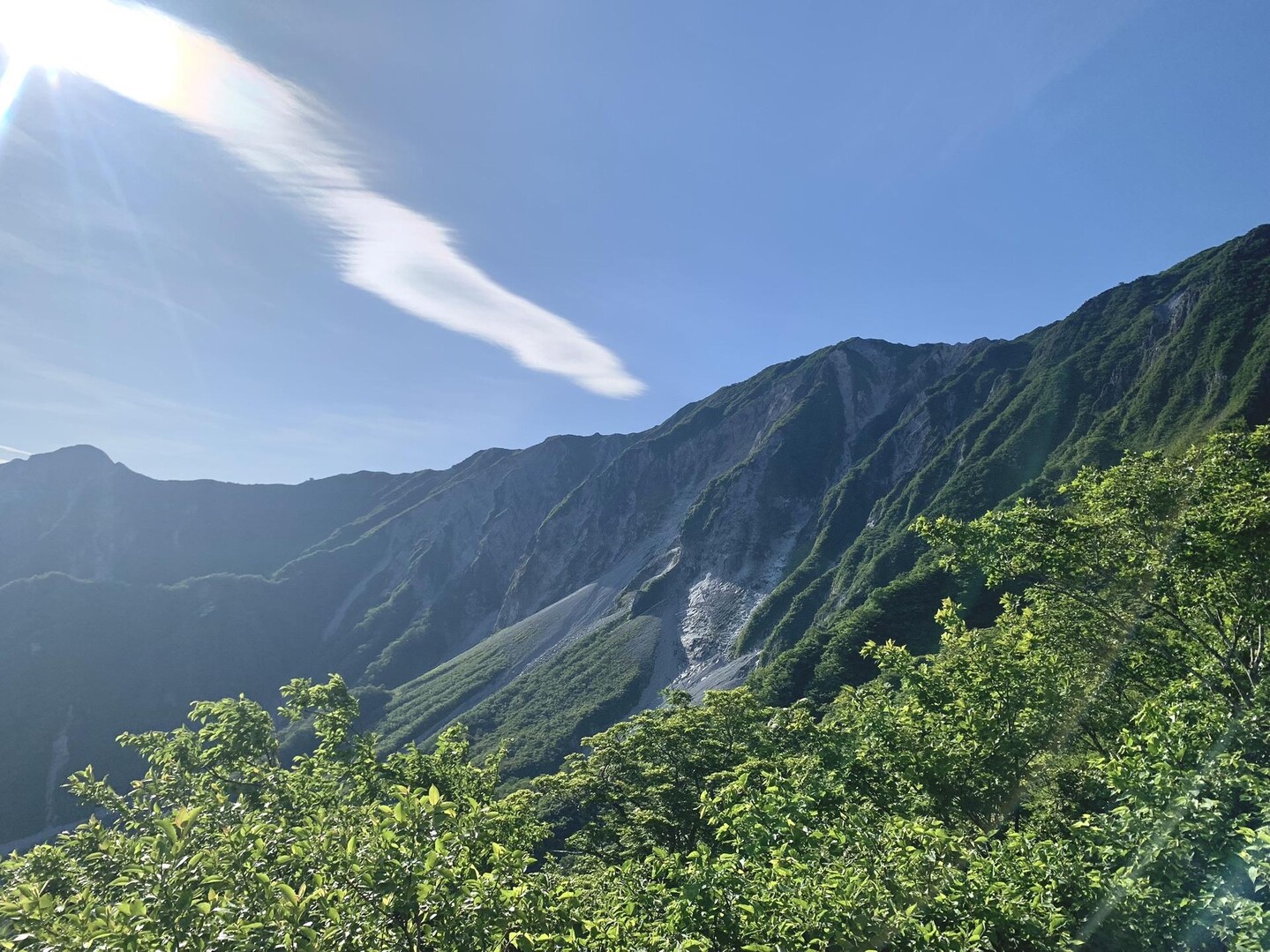 翠滴る雄大な霊峰⛰️大山（弥山）朝駆け / nyaomaskさんの大山・甲ヶ山・野田ヶ山の活動日記 | YAMAP / ヤマップ