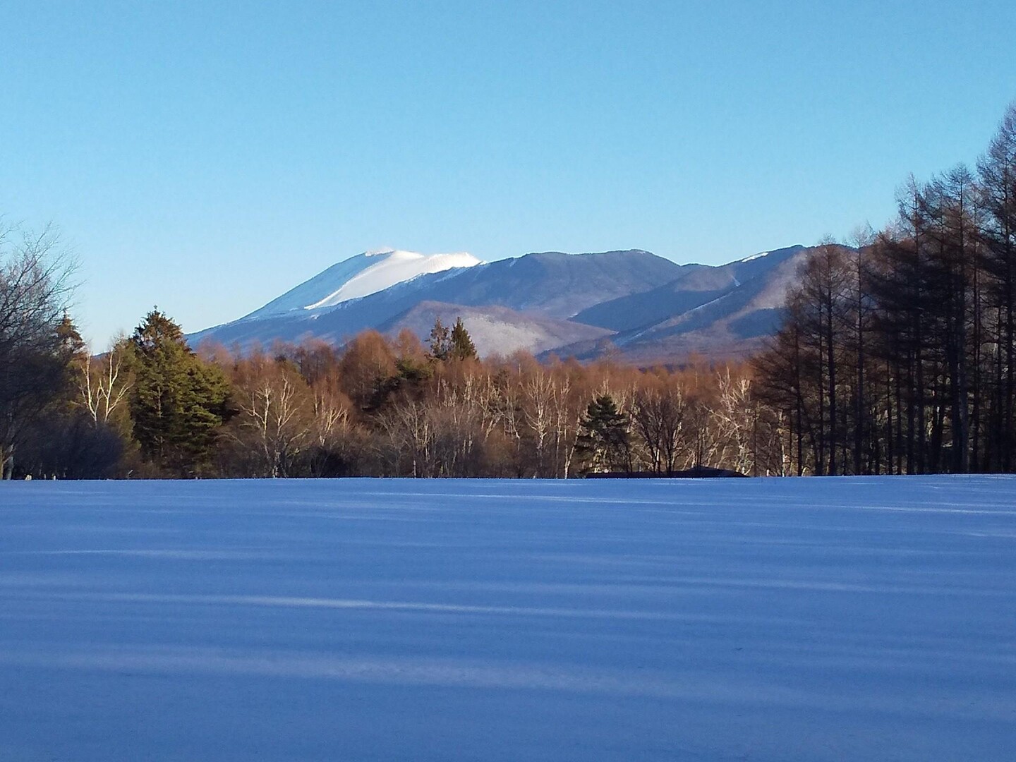四阿高原 スノーハイク / moozさんの四阿山・根子岳の活動データ | YAMAP / ヤマップ