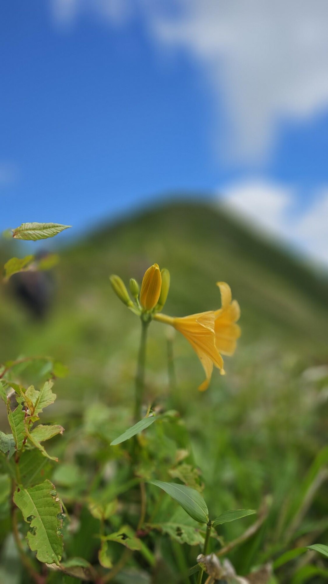 白砂山でBBQ🏕 / ありさんの白砂山・堂岩山・八間山の活動日記 | YAMAP / ヤマップ