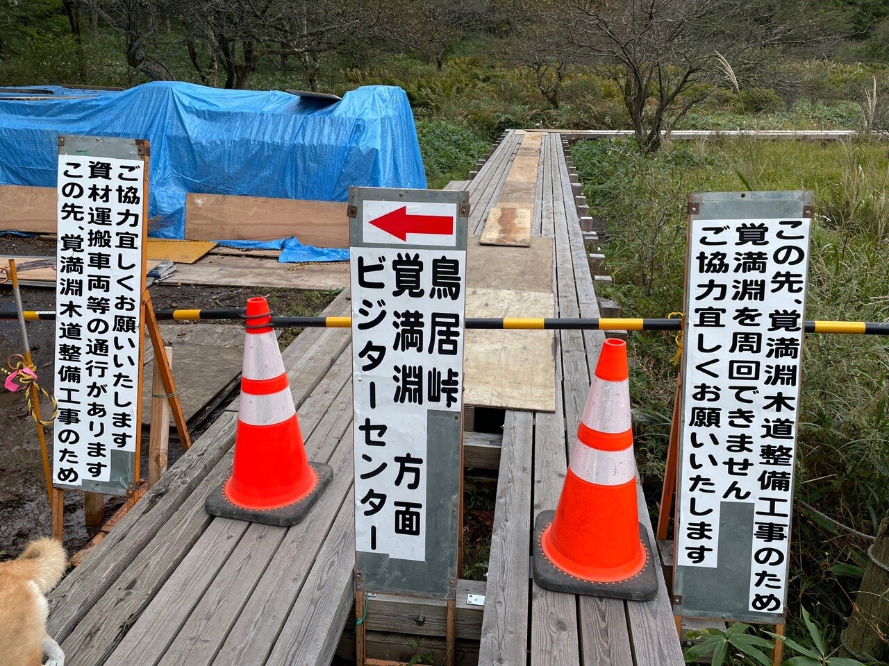 SHUNさんの投稿したフィールドメモ | YAMAP / ヤマップ