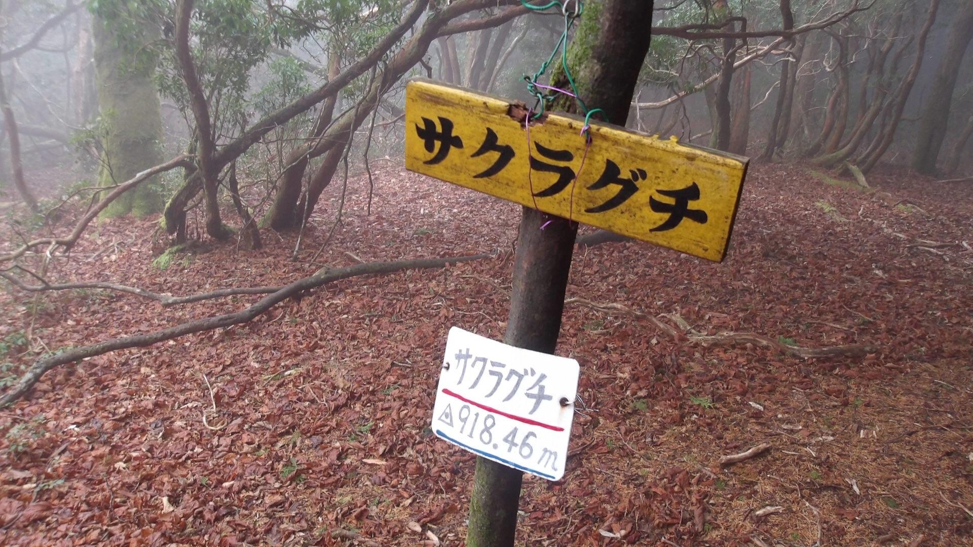 鈴鹿50名山完踏 ラストはサクラグチ（北岳） / nagait01さんの綿向山の活動データ | YAMAP / ヤマップ