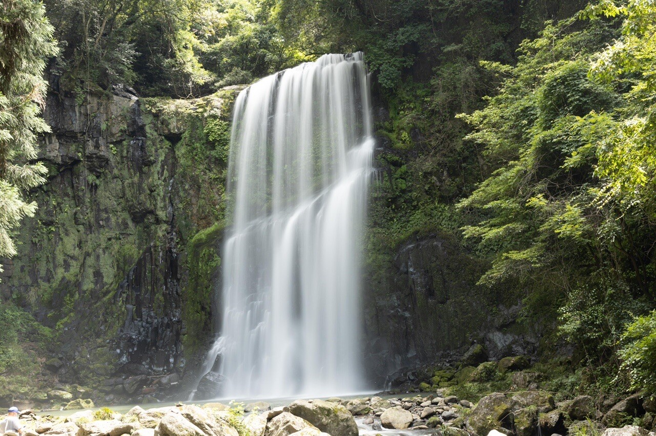 癒しを求めて 滝シリーズ2 今回は、桜滝... / daisagan さんのモーメント | YAMAP / ヤマップ