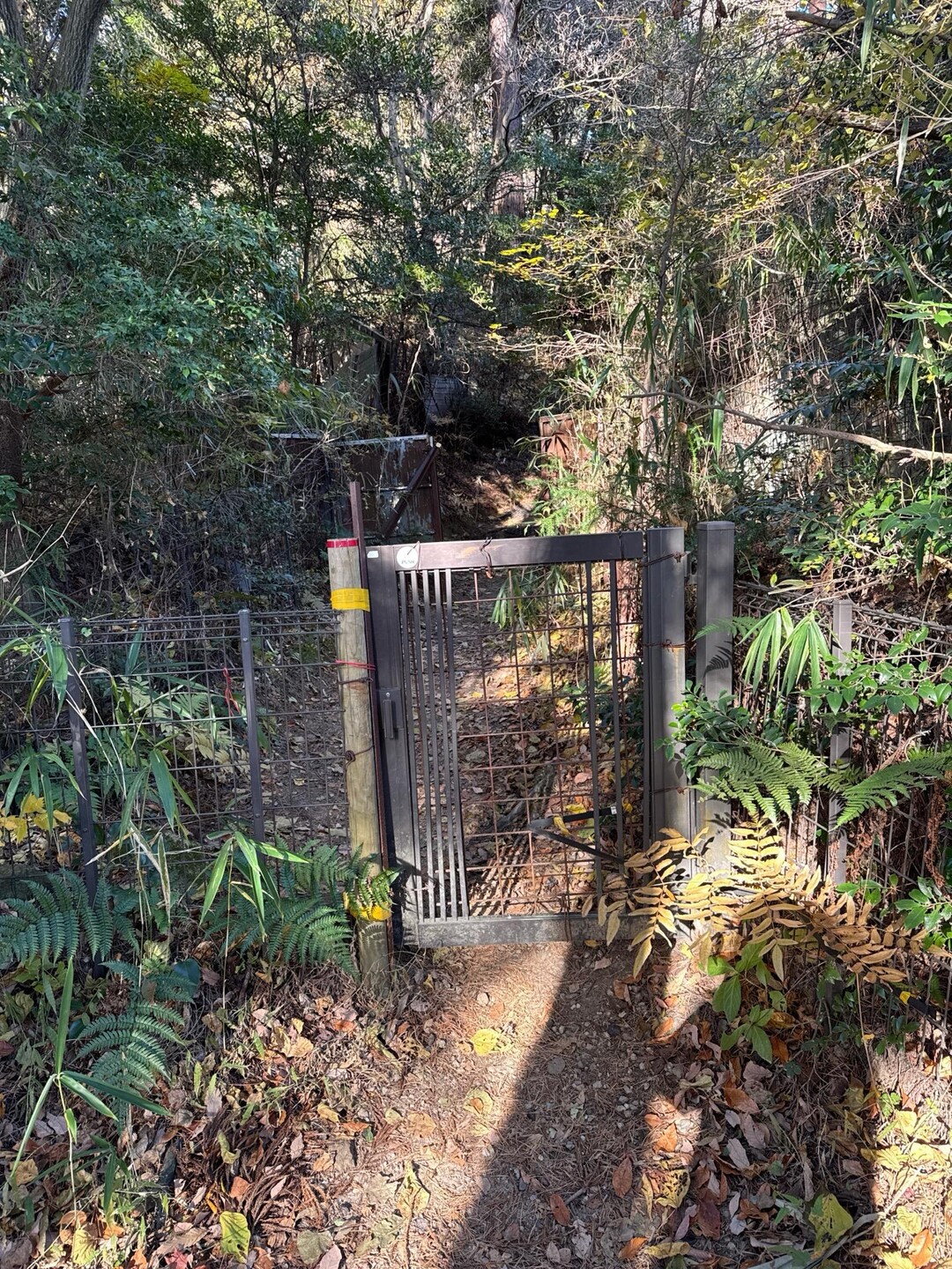 EIさんの投稿したフィールドメモ | YAMAP / ヤマップ