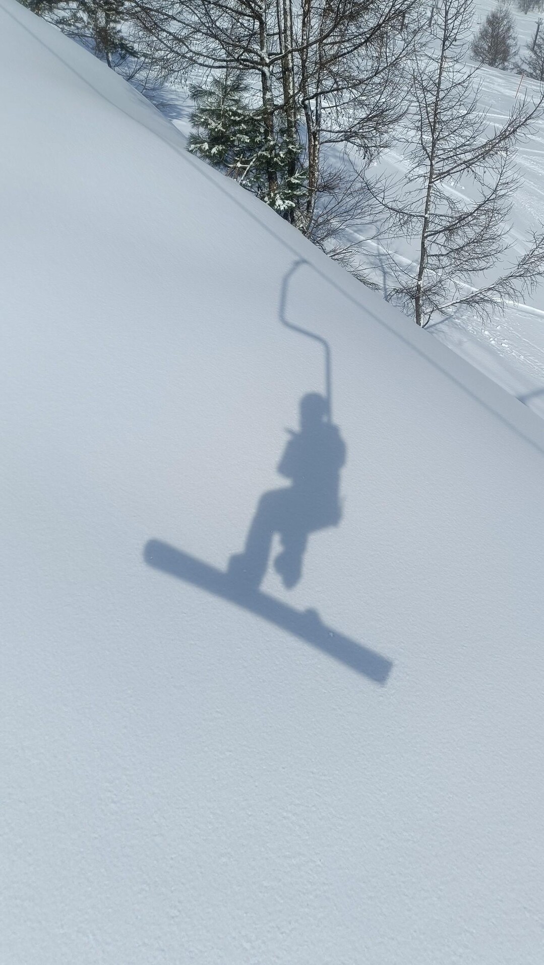 ️シーズイン🏂 山行⛰️少なめ〜... / とみとみさんのモーメント | YAMAP / ヤマップ