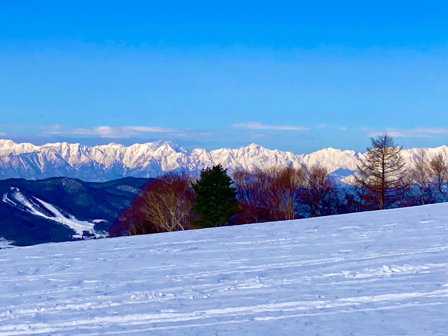 今シーズン初の雪山 ️四阿山 サイコー / mimiさんの四阿山・根子岳の活動データ | YAMAP / ヤマップ