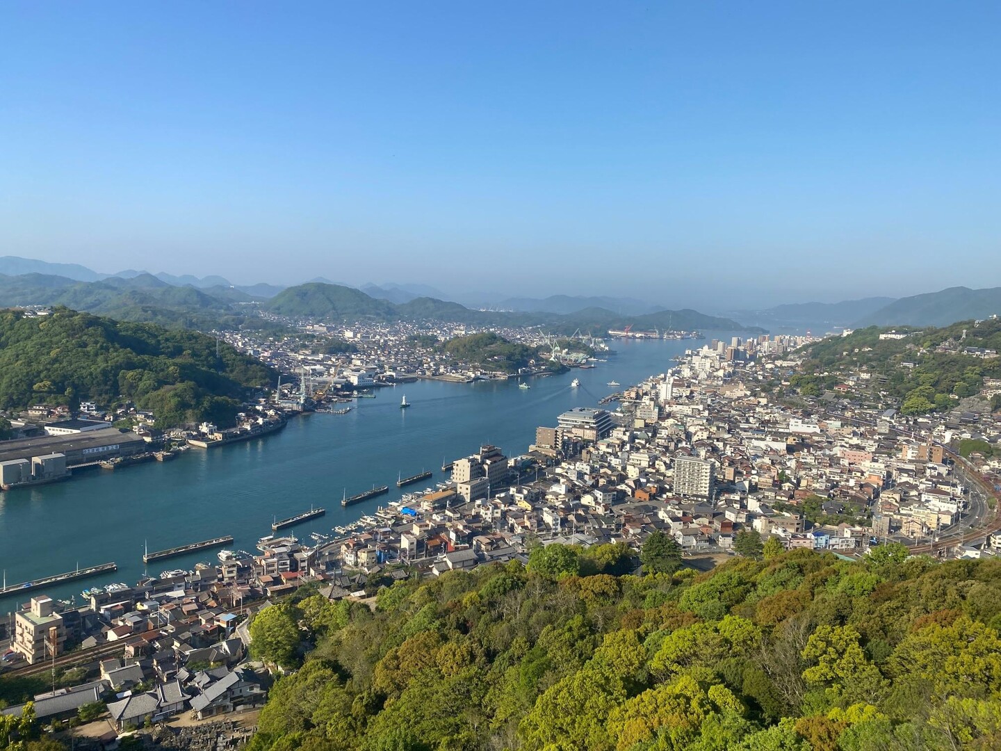 出張の朝 浄土寺山（瑠璃山） / ok.chさんの浄土寺山（瑠璃山）の活動データ | YAMAP / ヤマップ