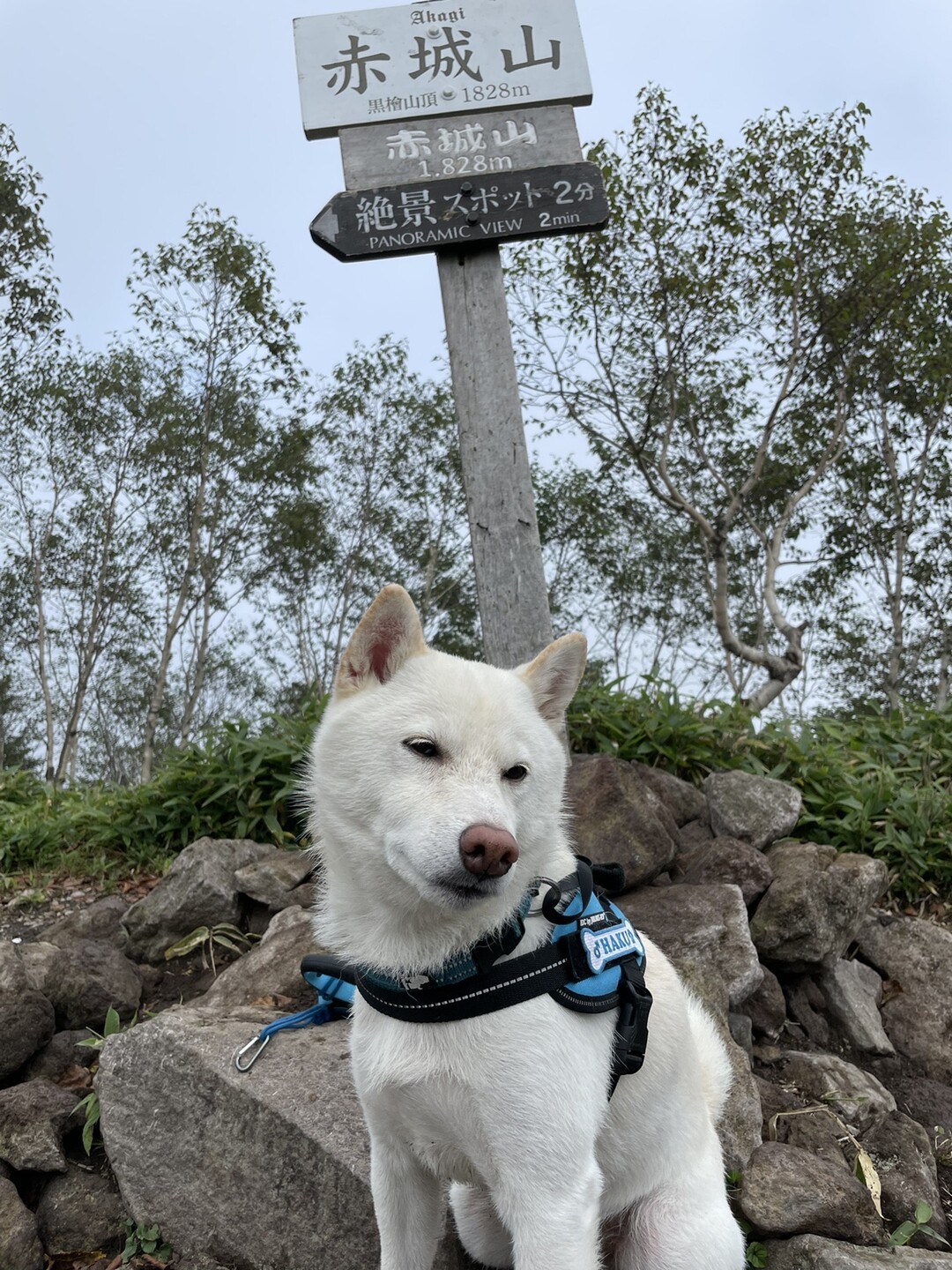 黒檜山 / HAKU&NAOさんの赤城山・黒檜山・荒山の活動データ | YAMAP / ヤマップ