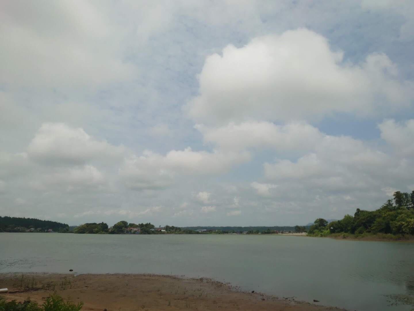 小泉潟公園② / aer0ckさんのウォーキングの活動データ | YAMAP / ヤマップ