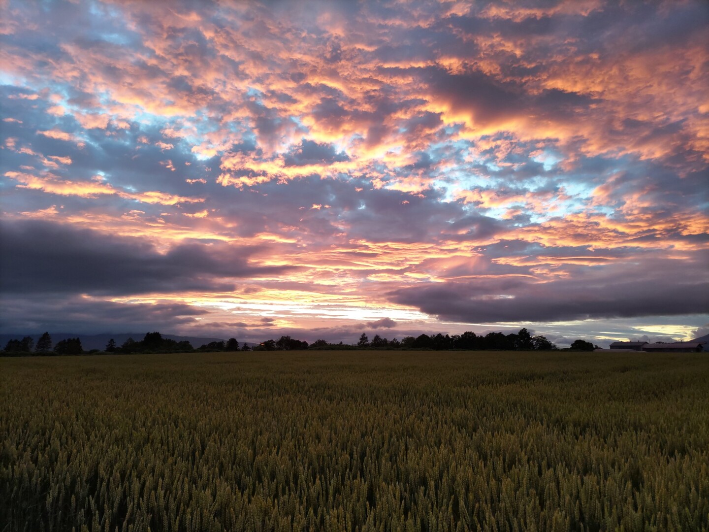 明日は晴れる☀️かな🤔 留寿都村の付近... / パパはTonyさんのモーメント | YAMAP / ヤマップ