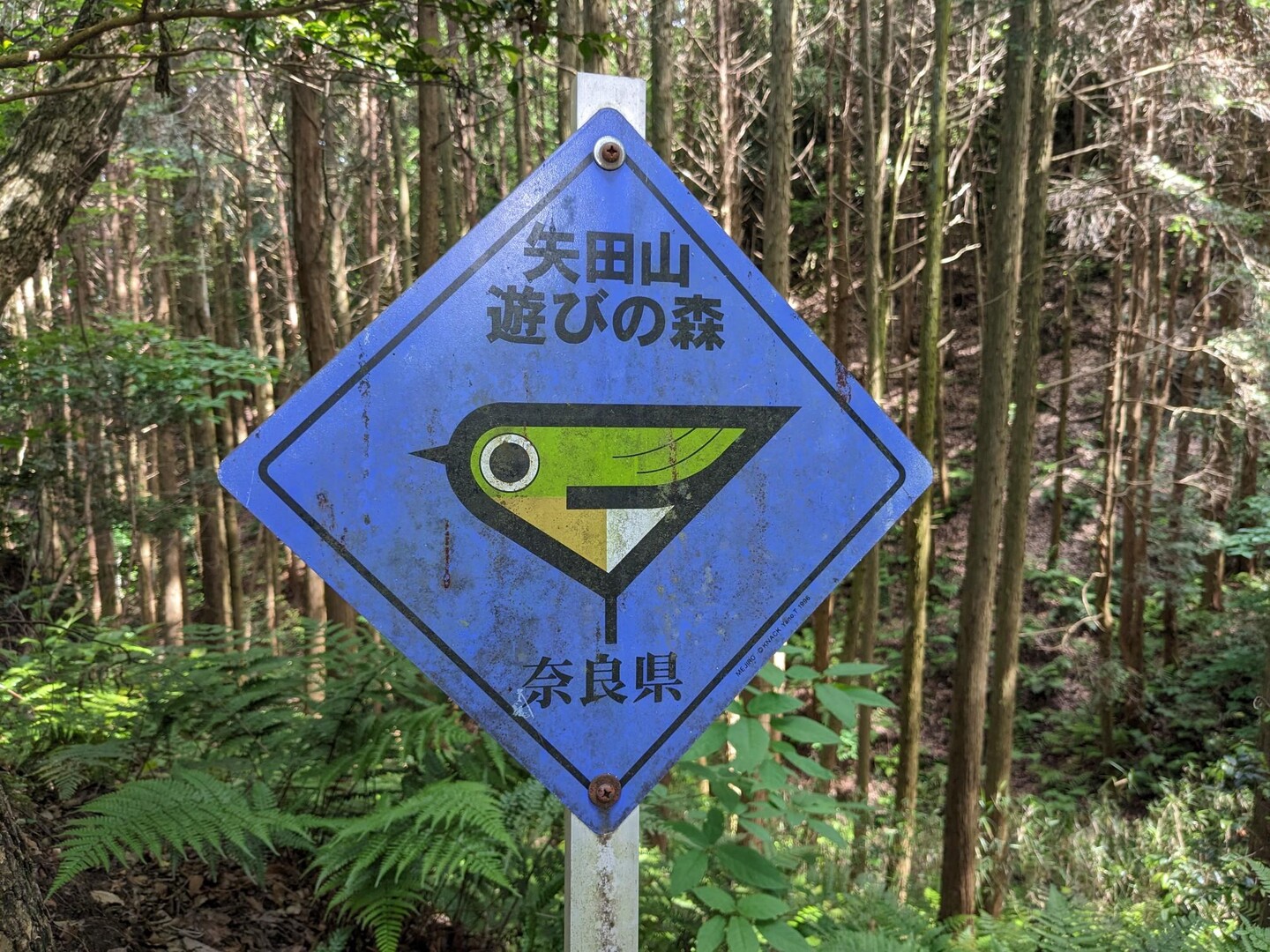 〈縦走〉矢田丘陵 / mettaさんの矢田丘陵・法隆寺の活動データ | YAMAP / ヤマップ